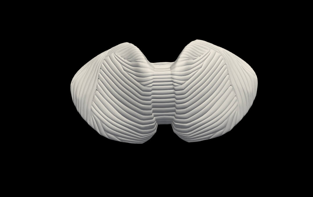 3D Model of Brain Stem and Cerebellum by azekapeka