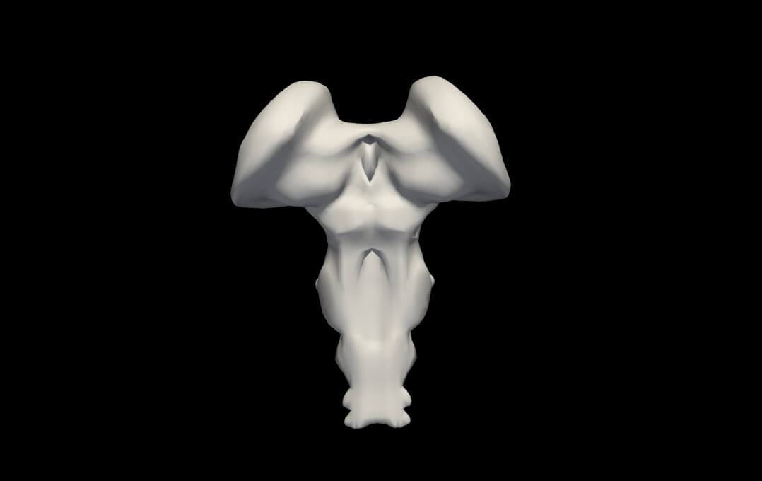 3D Model of Brain Stem and Cerebellum by azekapeka