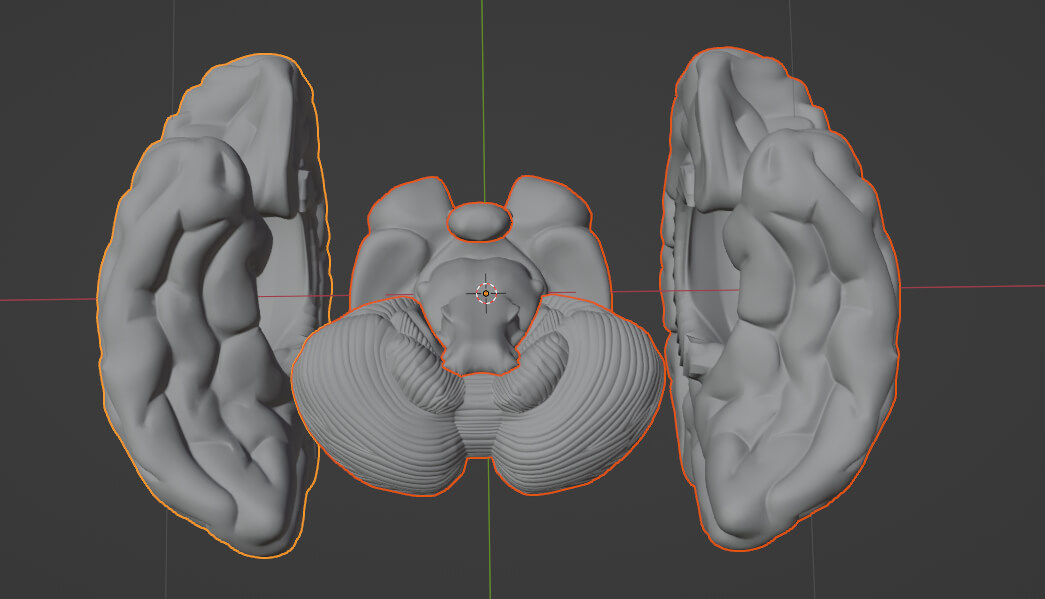 3D Model of Brain With Cerebellum and Brain Stem by azekapeka