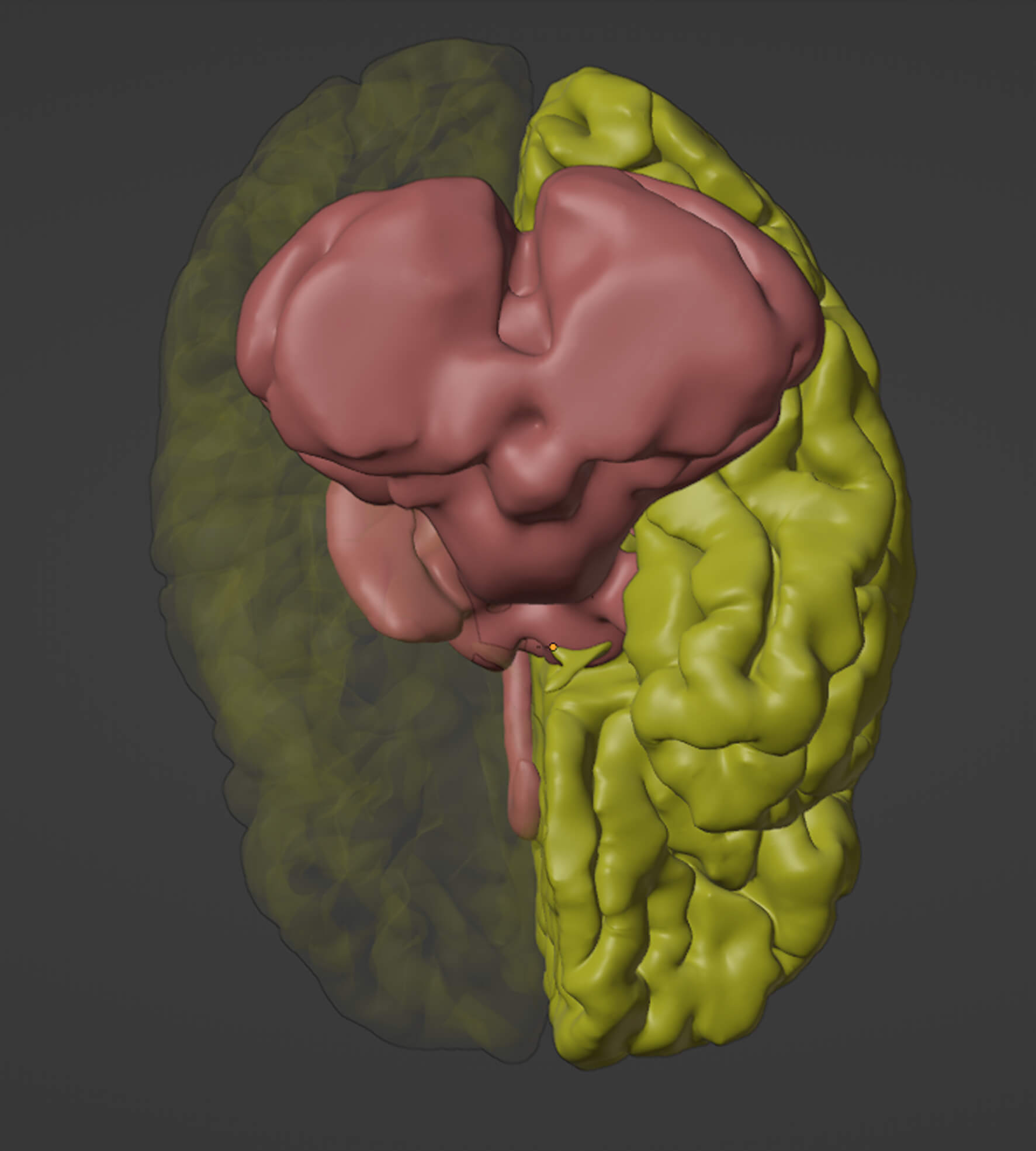 3D Model of Brain by azekapeka
