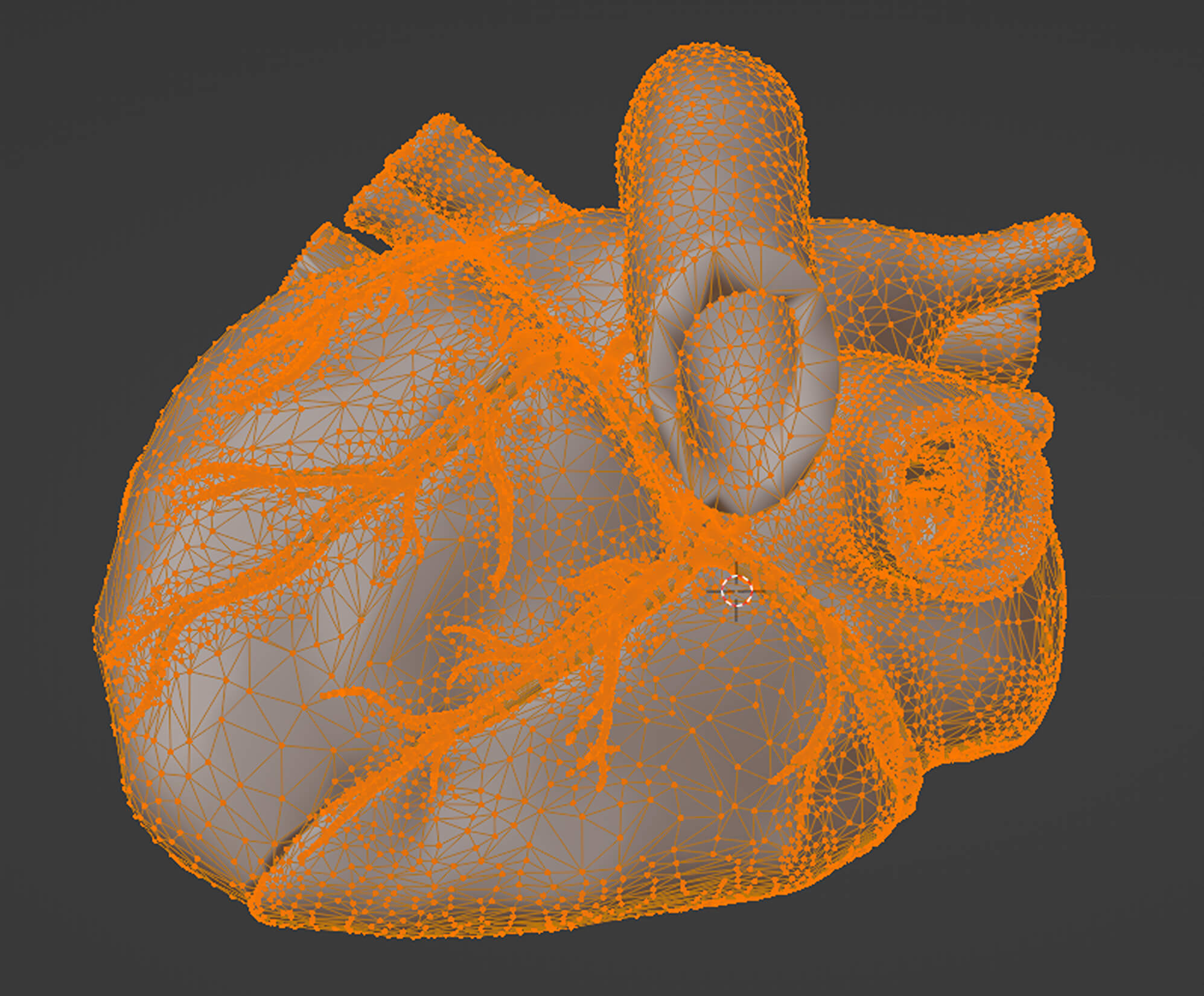 3D Model of Common Arterial Trunk Truncus Arteriosus by azekapeka