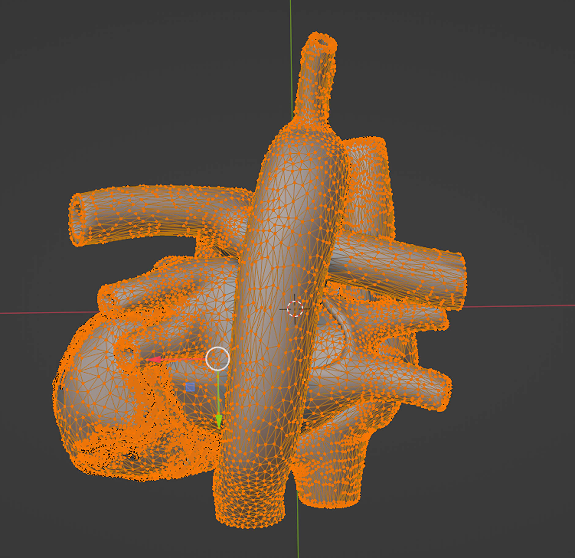 3D Model of Common Arterial Trunk Truncus Arteriosus by azekapeka