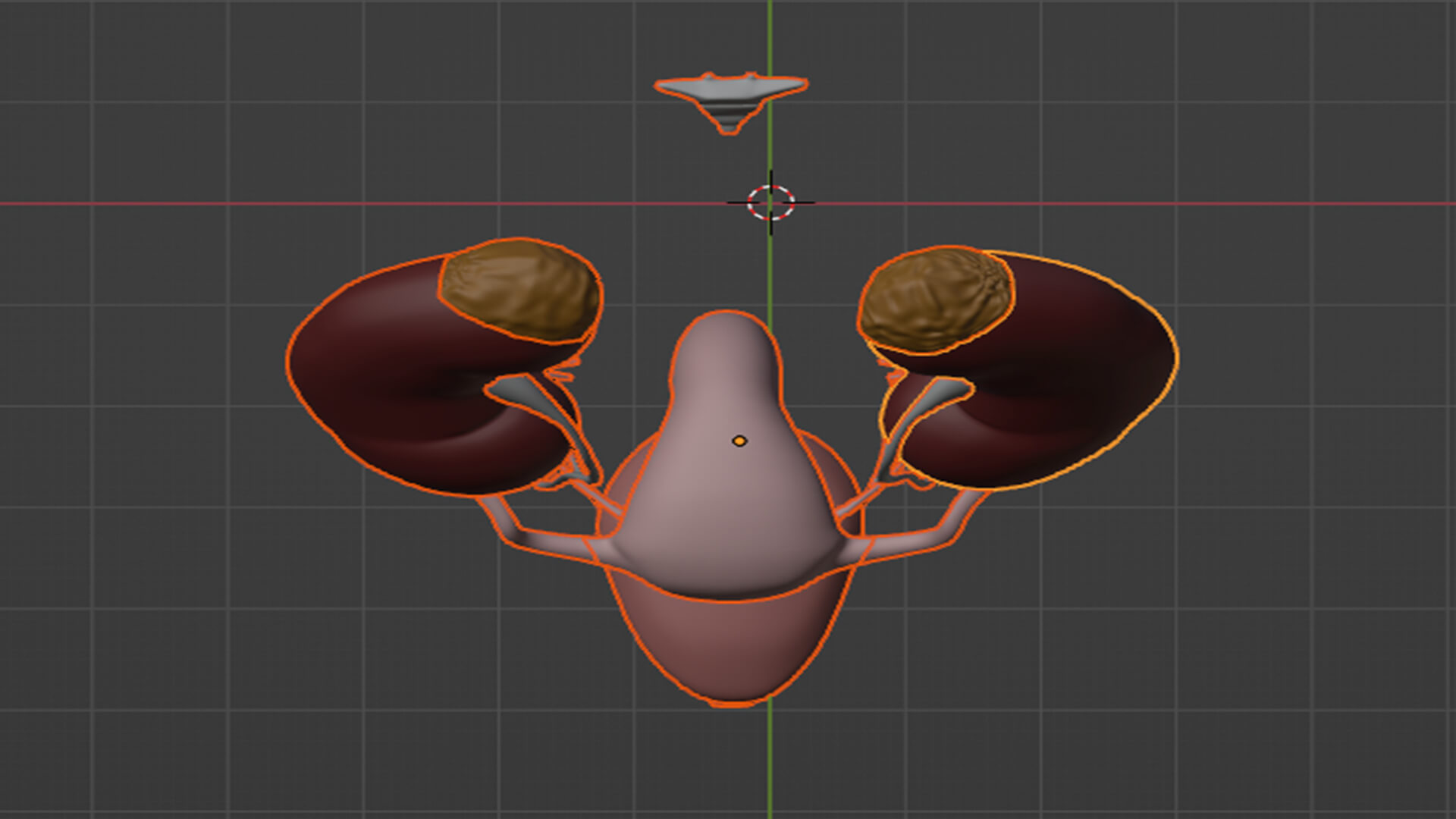 3D Model of Female Reproductive and Urinary System by azekapeka