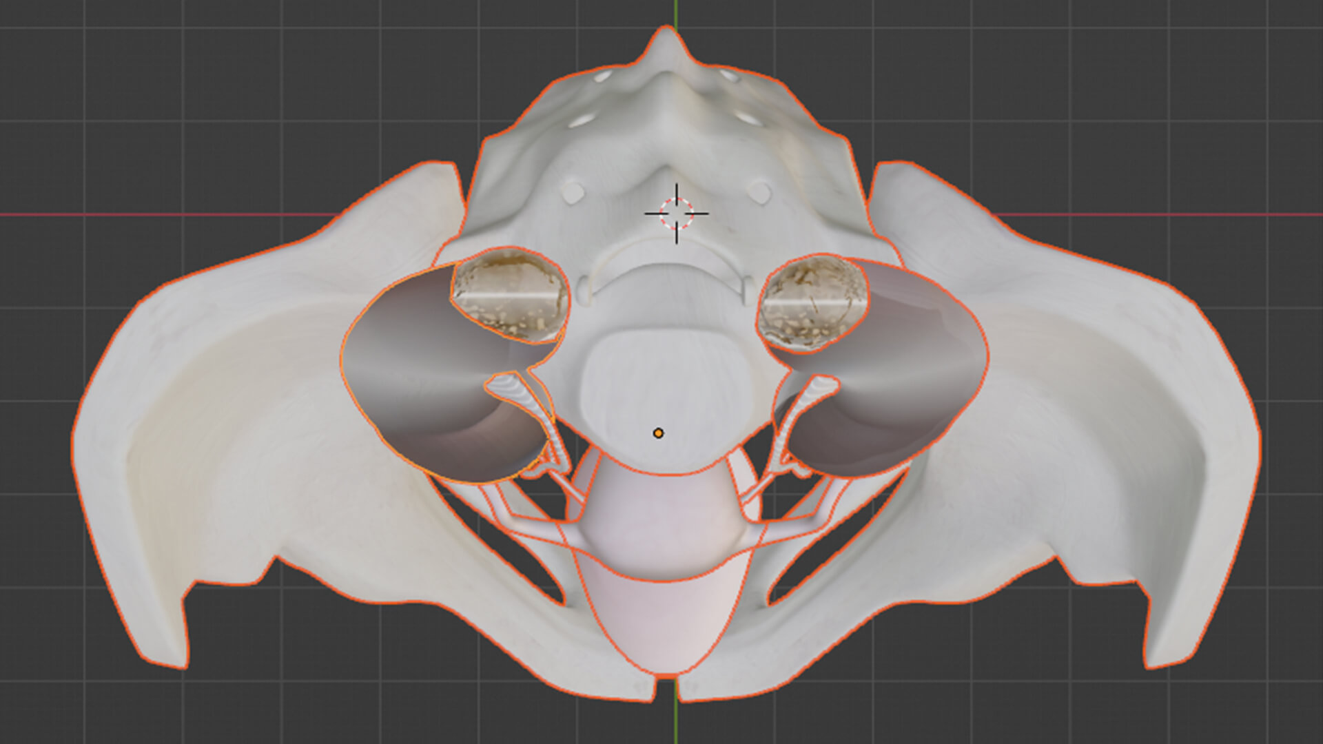 3d Model Of Female Reproductive Urinary System Hip And Sac By Azekapeka 0554