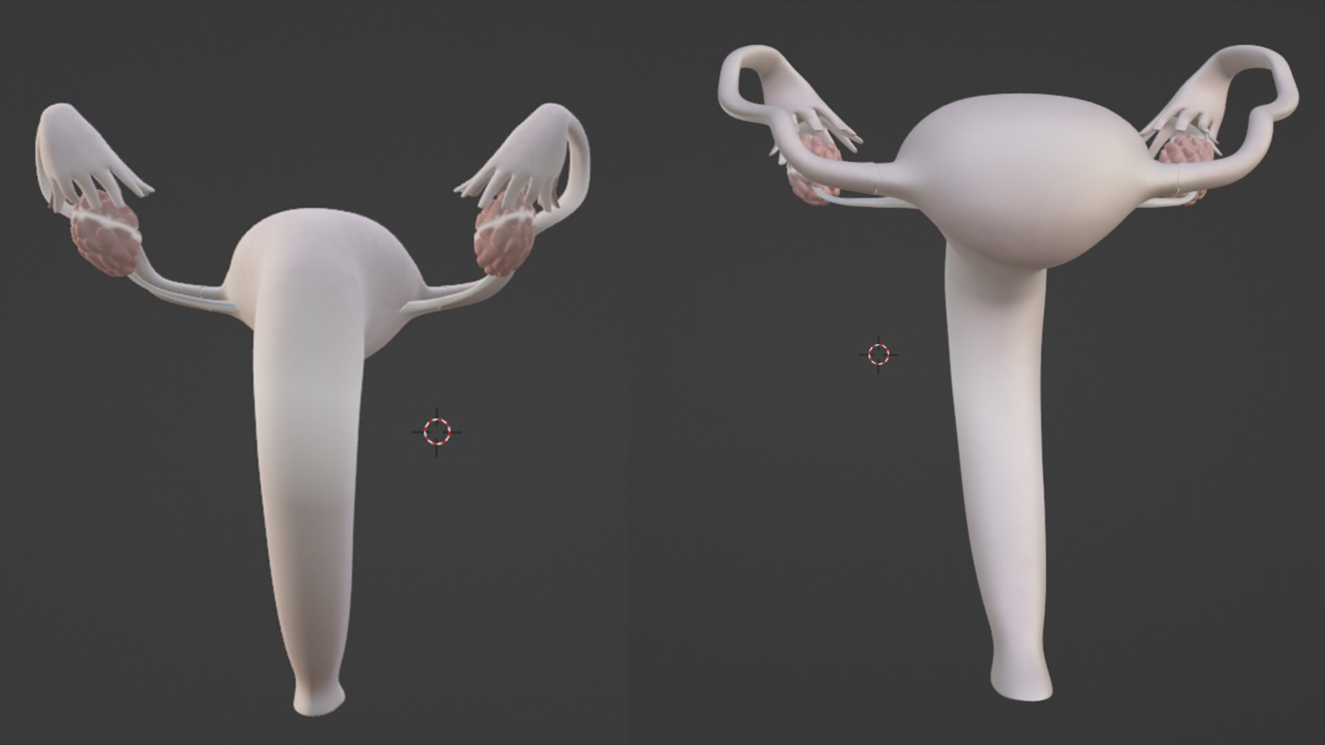3d Model Of Female Reproductive Urinary System Hip And Sac By Azekapeka 7274