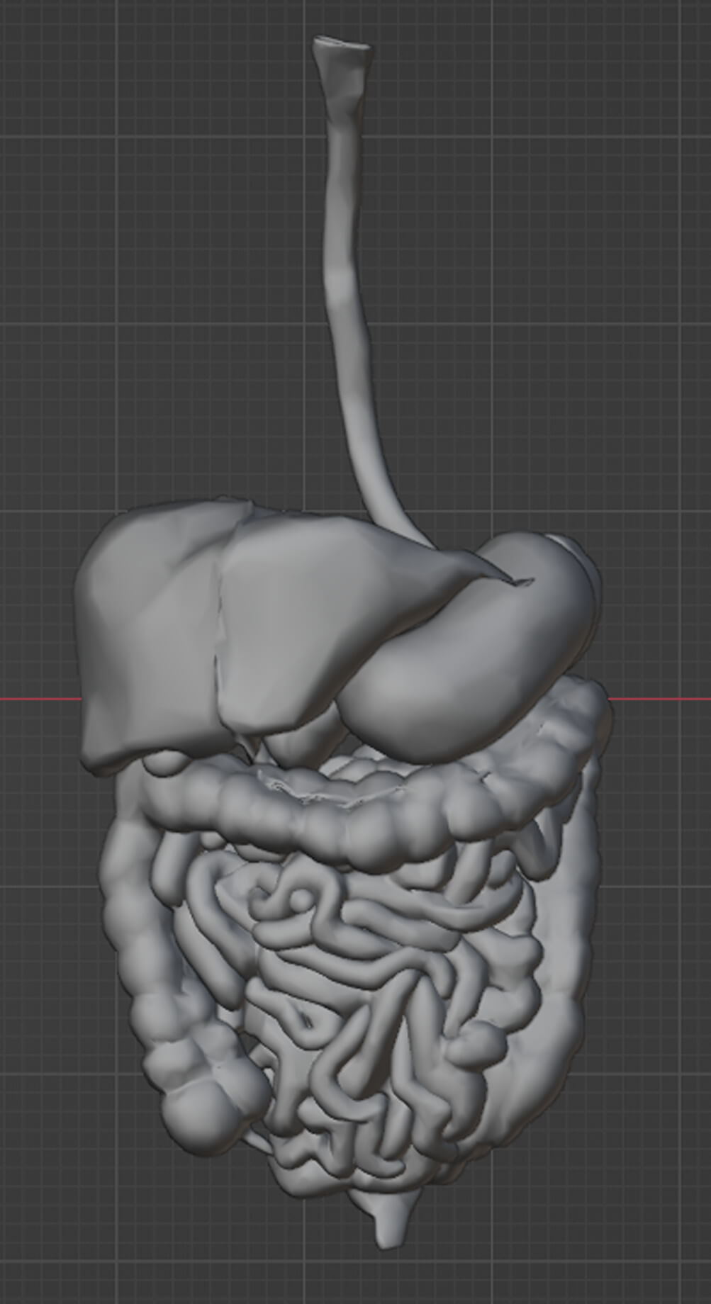 3D Model of Gastrointestinal Tract With Bones by azekapeka