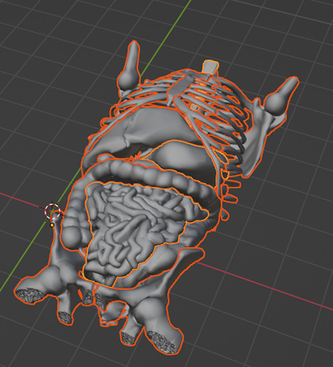 3D Model of Gastrointestinal Tract With Bones by azekapeka