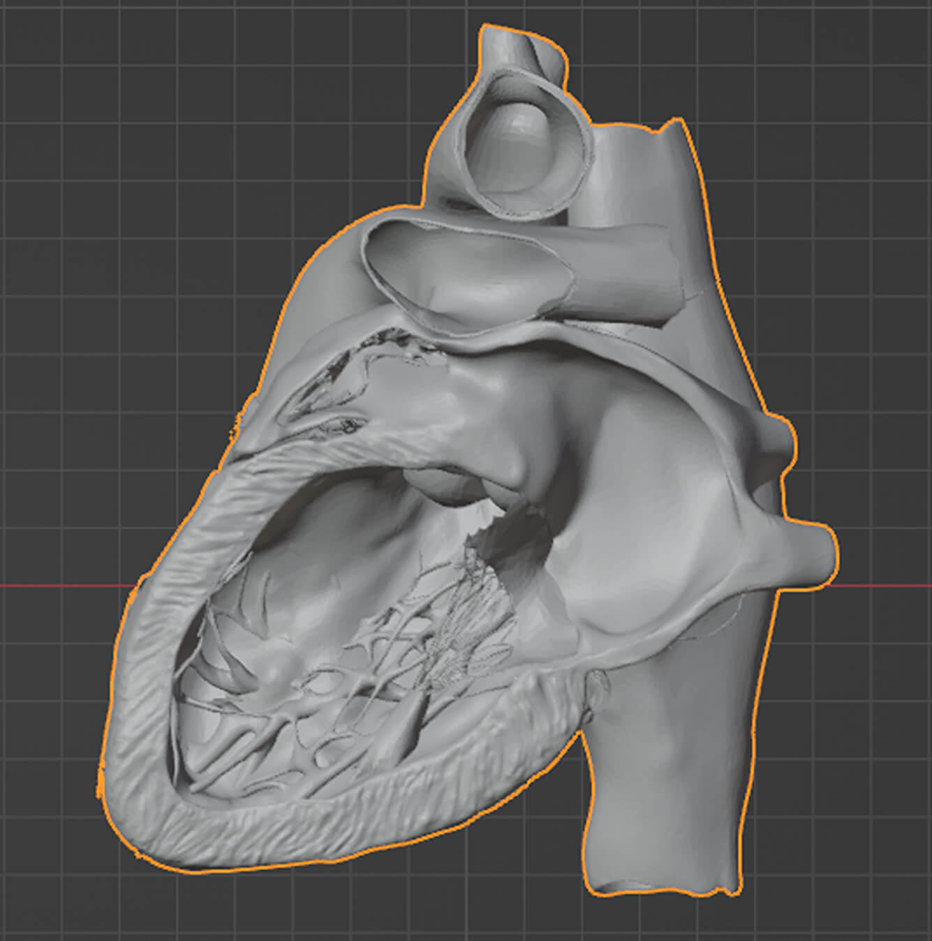 3D Model of Heart (Apical 2 Chamber Plane) by azekapeka