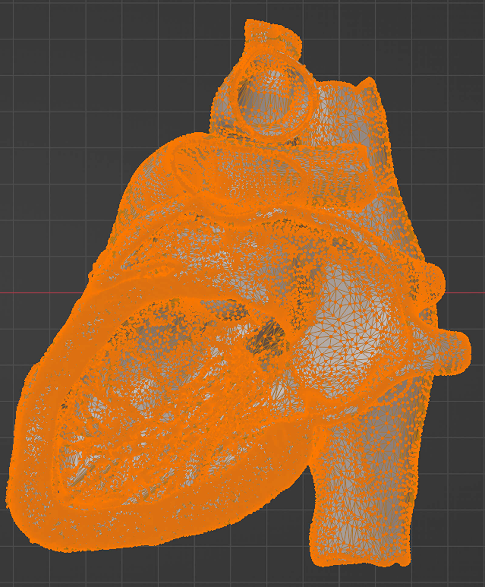3D Model of Heart (Apical 2 Chamber Plane) by azekapeka