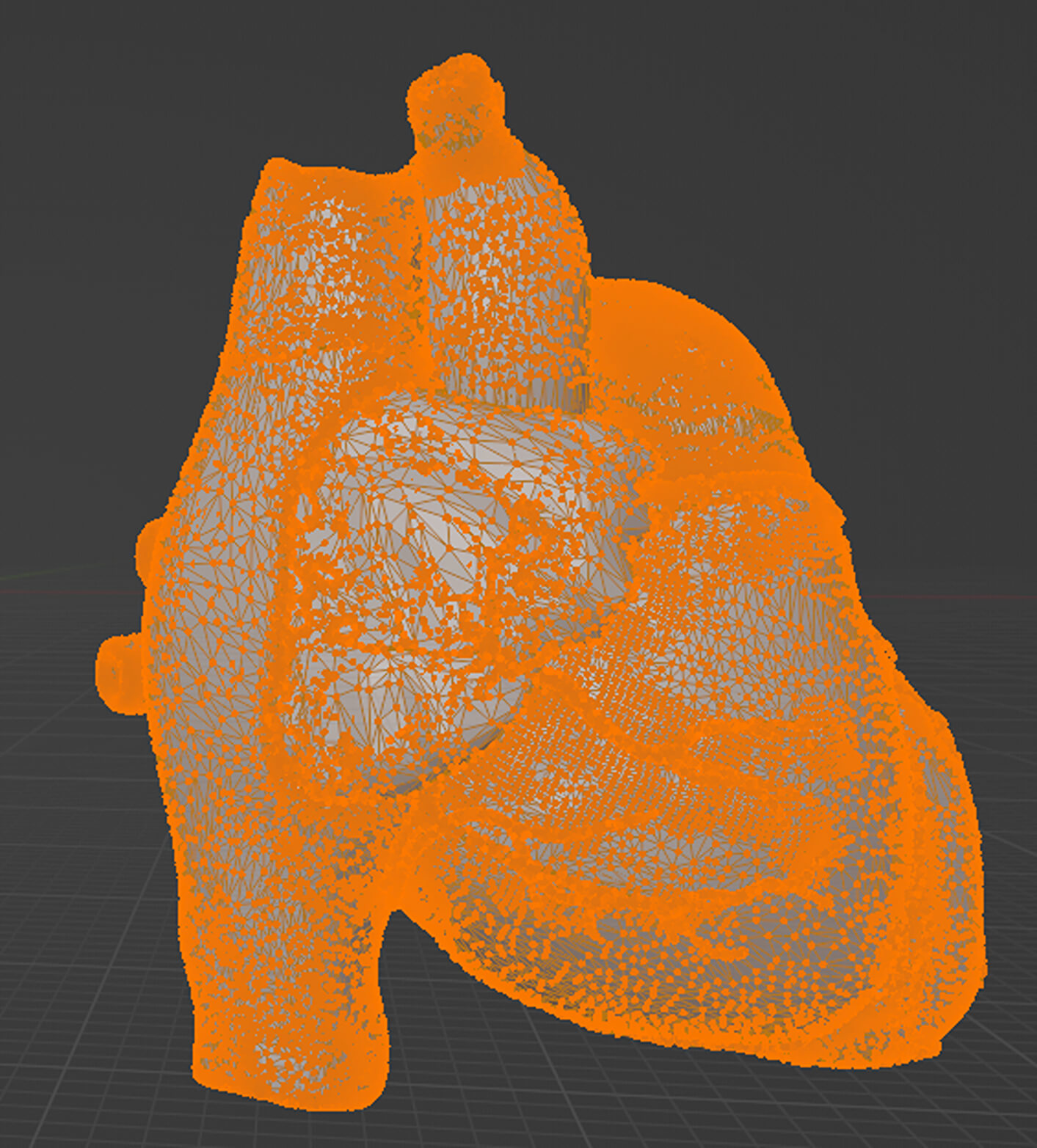 3D Model of Heart (Apical 2 Chamber Plane) by azekapeka