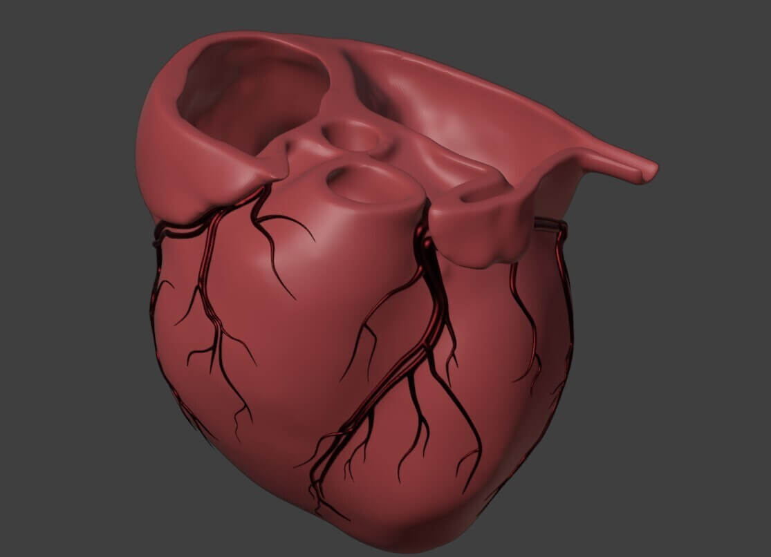 3D Model of Heart With Vessels by azekapeka