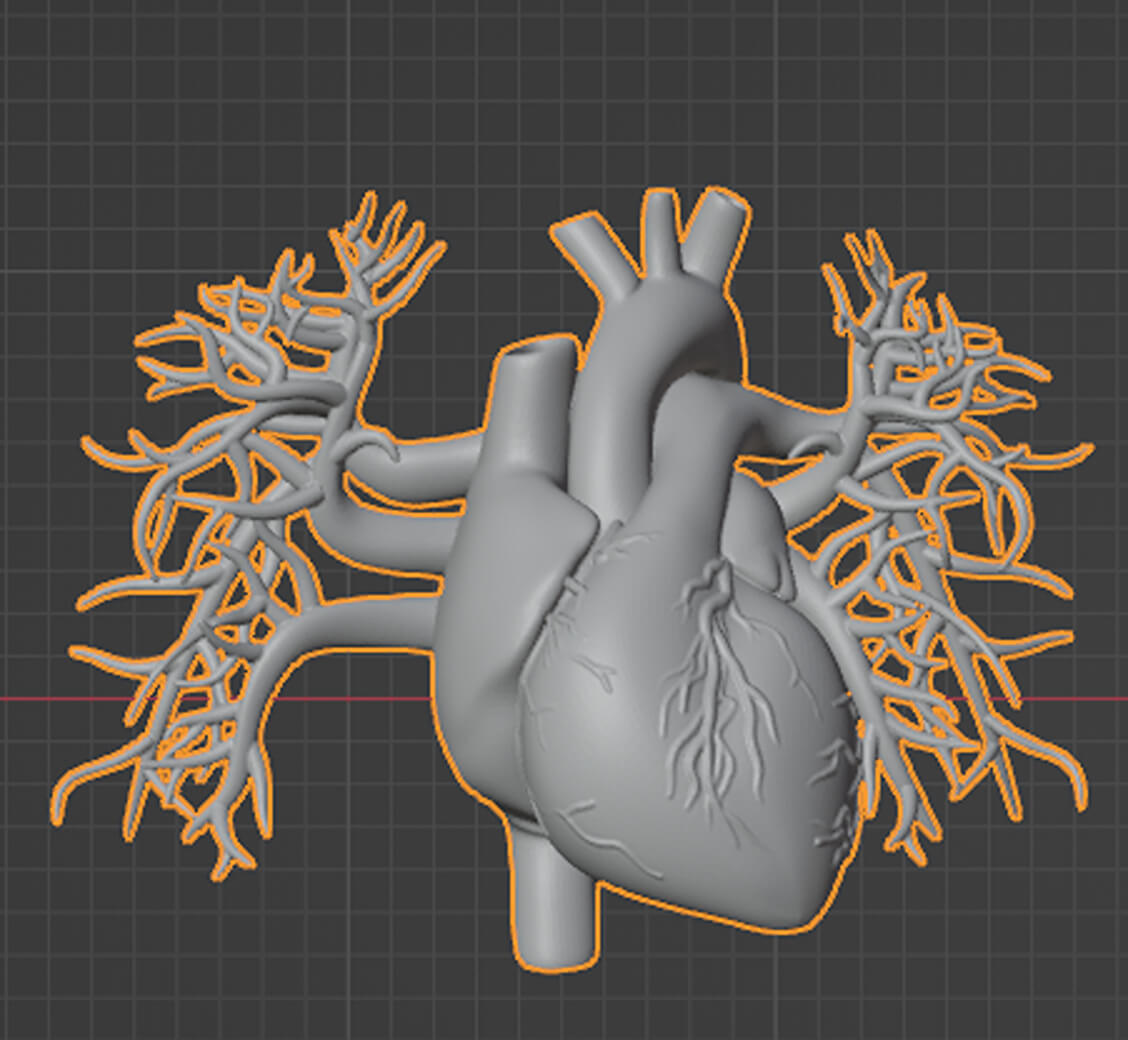 3D Model of Heart With Vessels by azekapeka