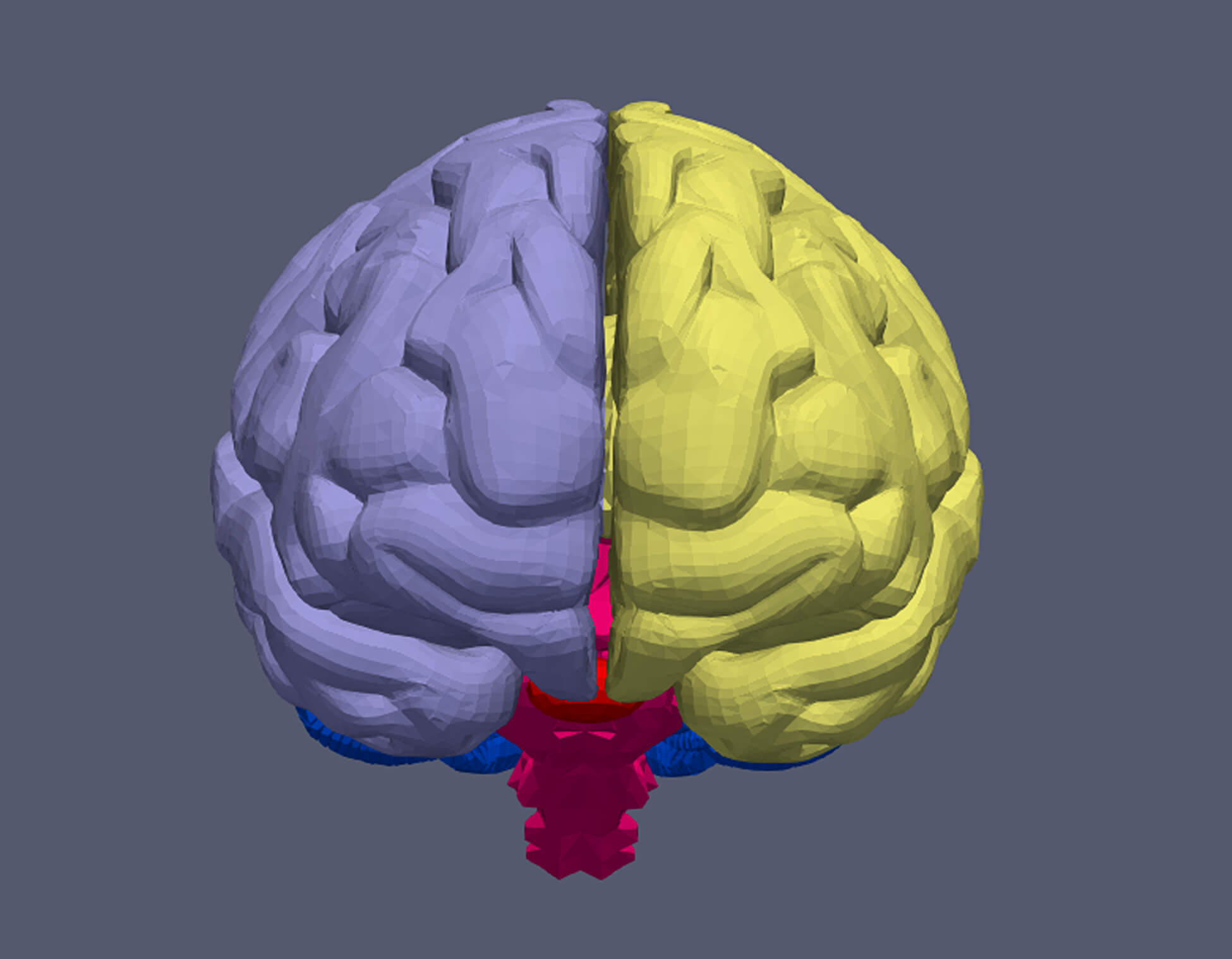 3D Model of Human Brain V2 by azekapeka