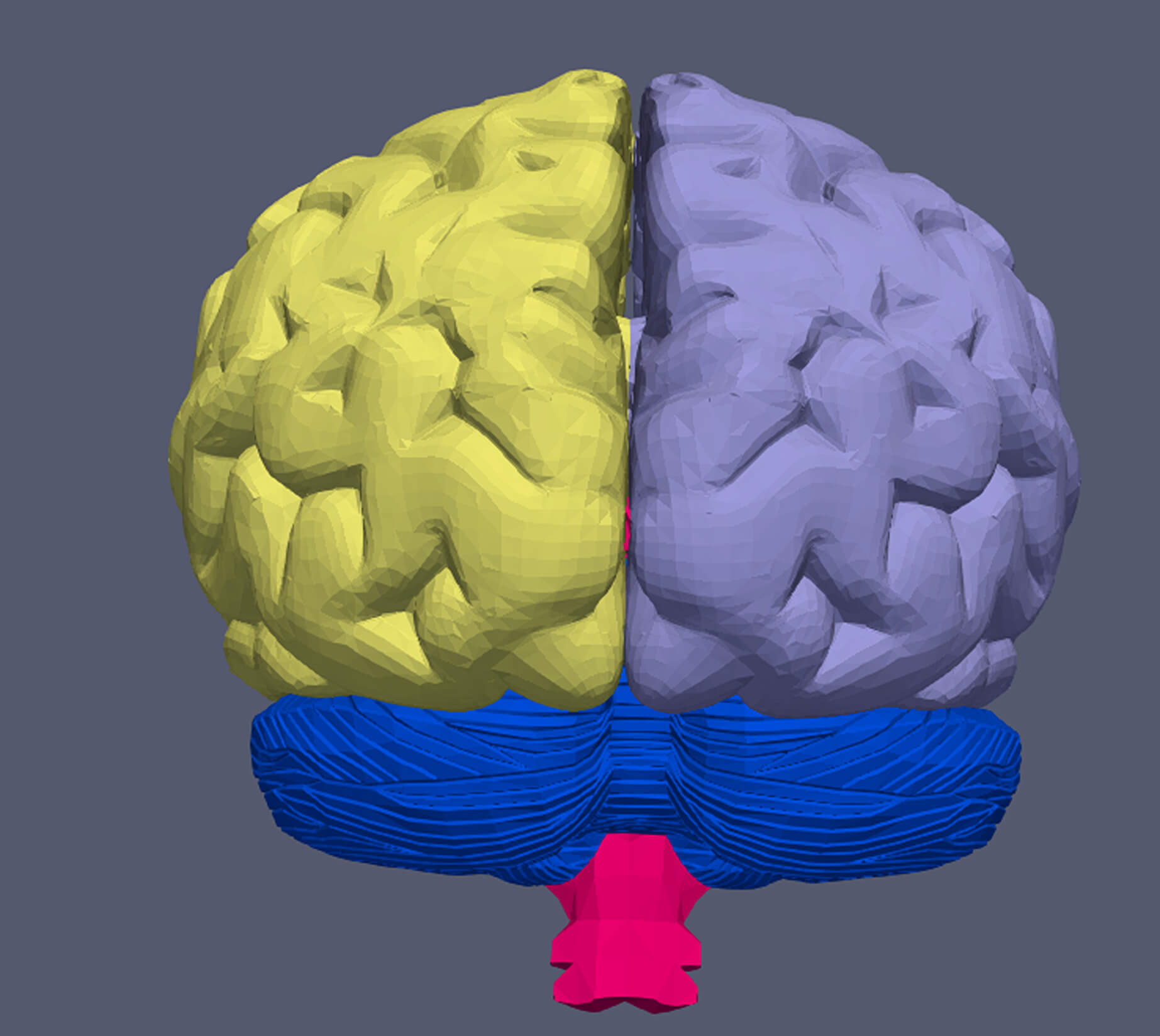 3D Model of Human Brain V2 by azekapeka