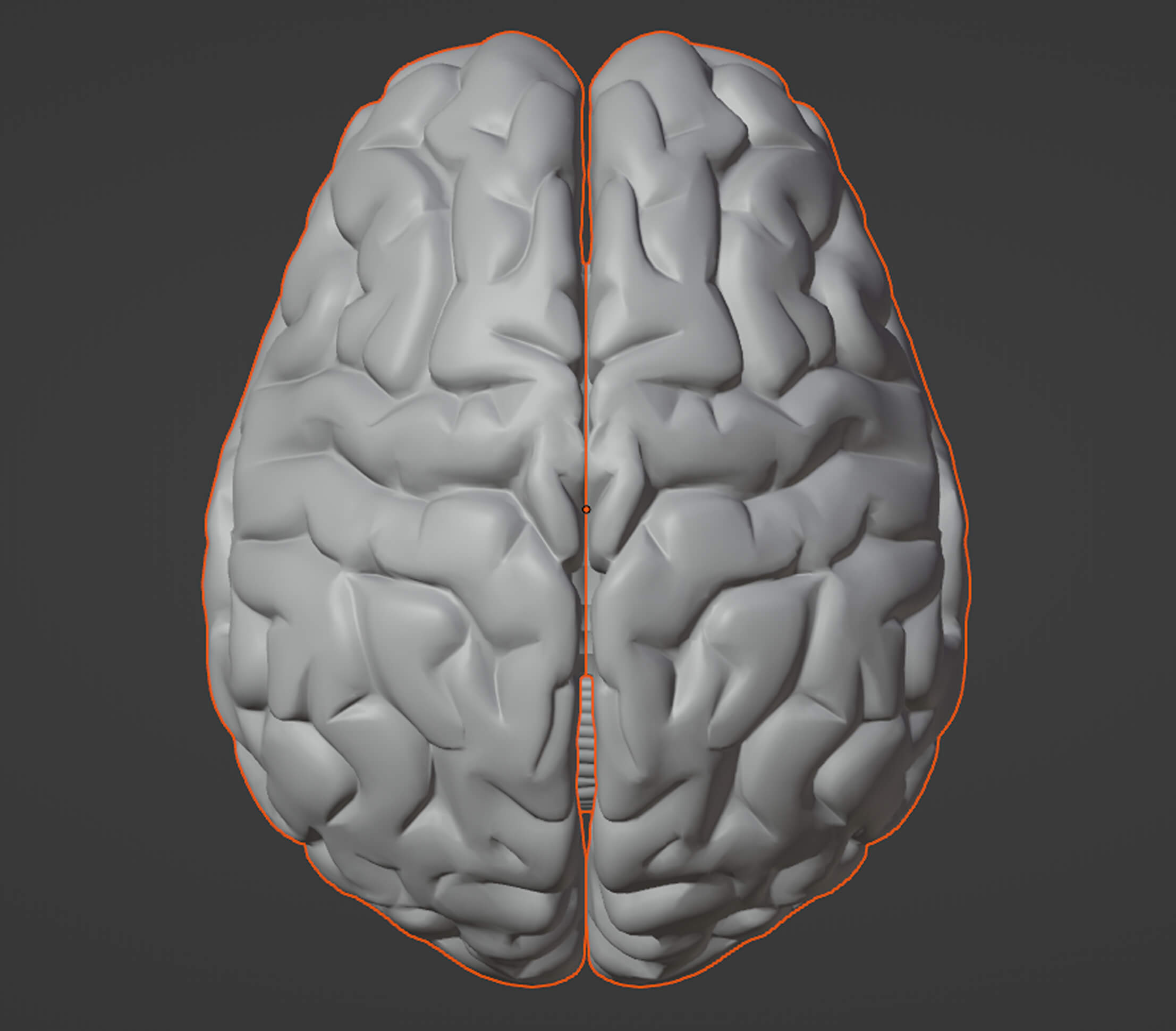 3D Model of Human Brain V2 by azekapeka