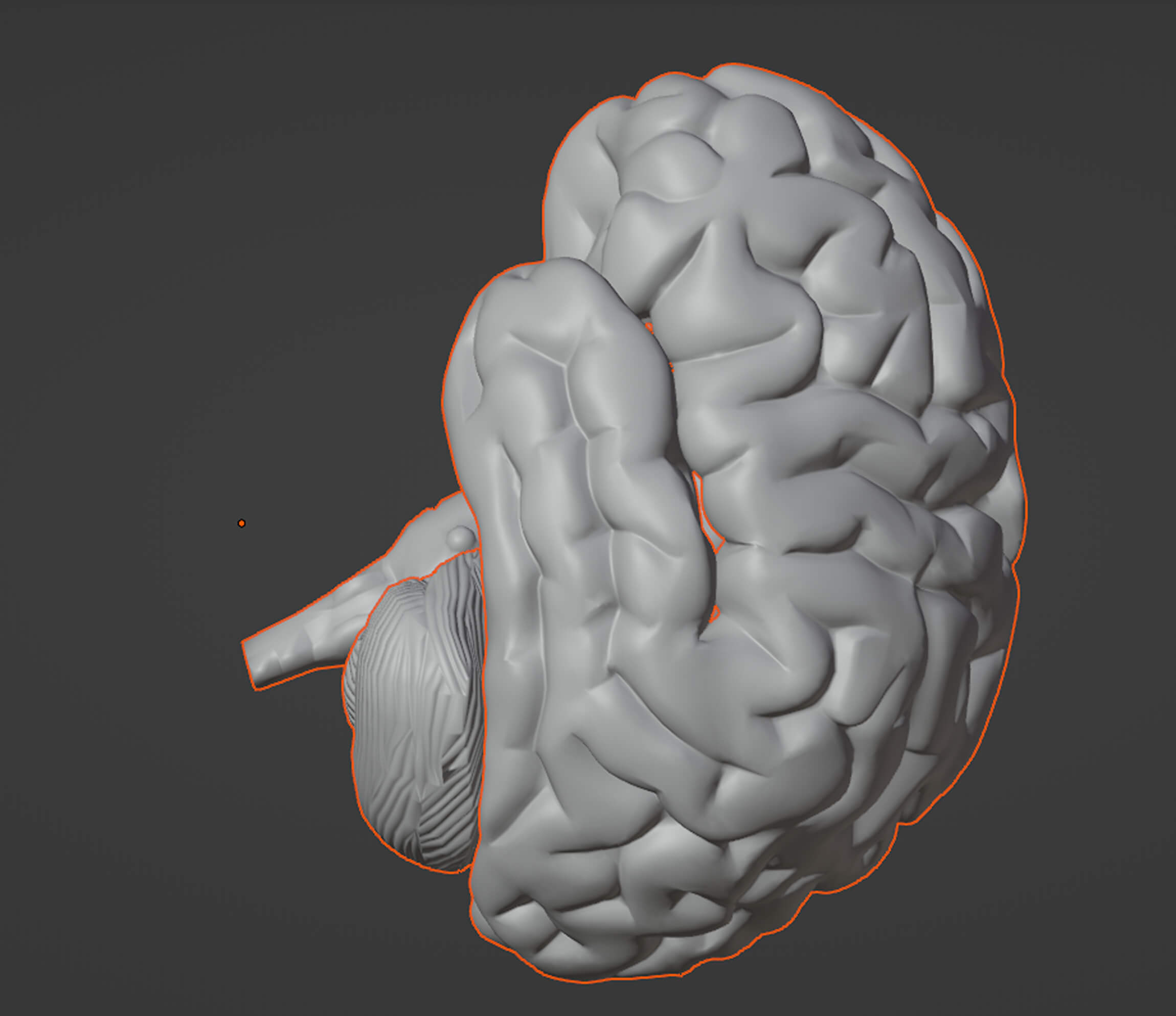 3D Model of Human Brain V2 by azekapeka