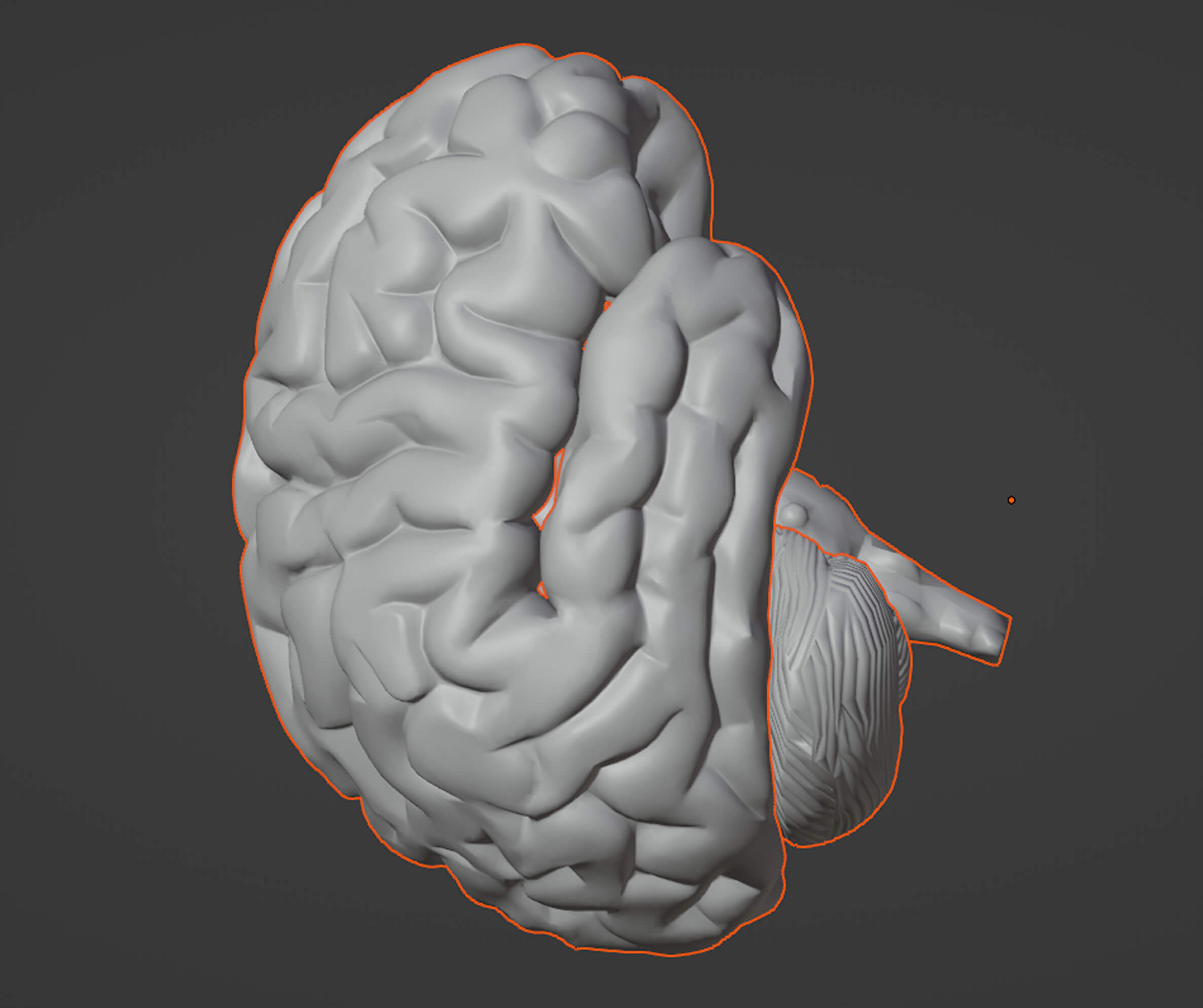 3D Model of Human Brain V2 by azekapeka