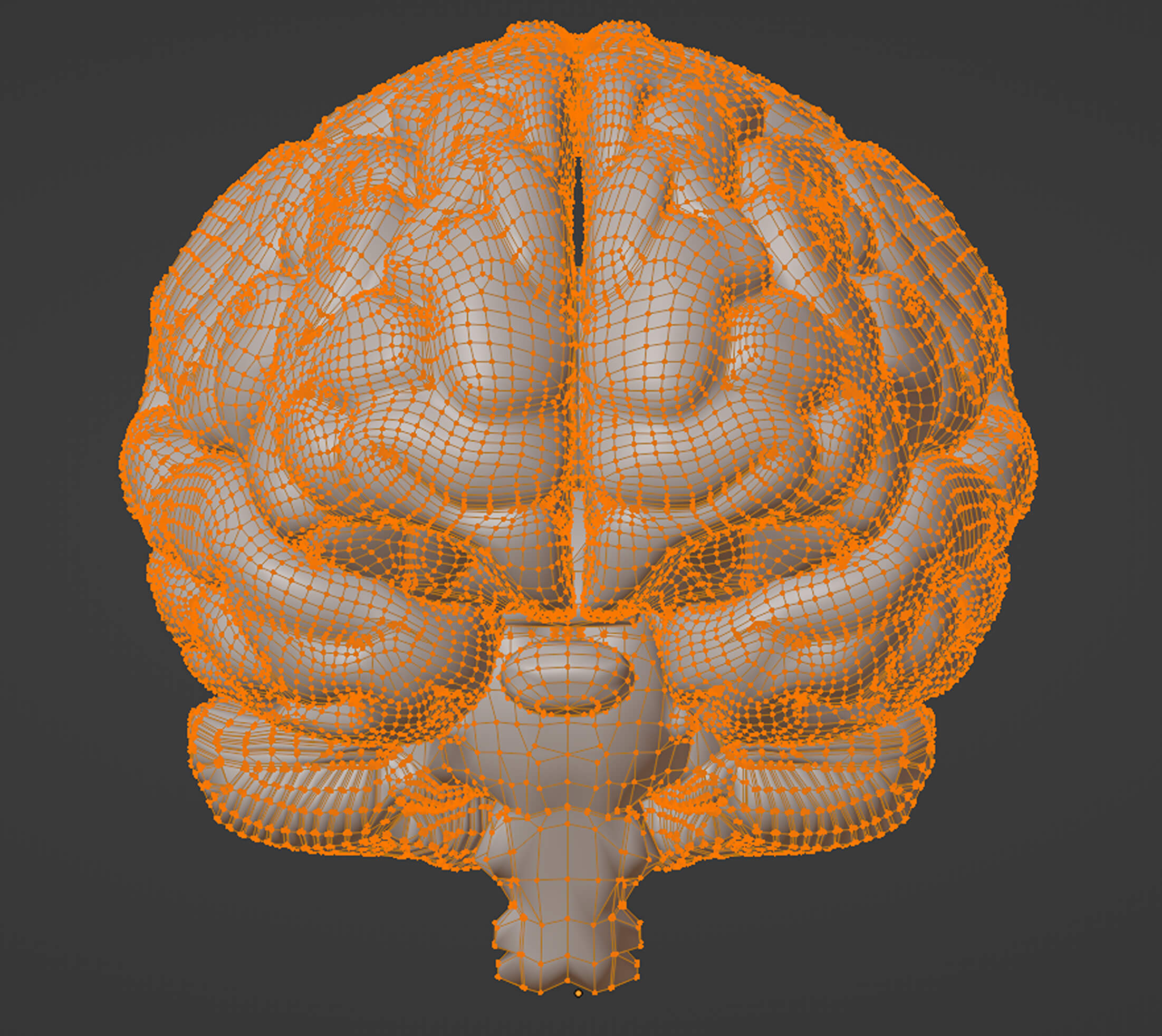 3D Model of Human Brain V2 by azekapeka