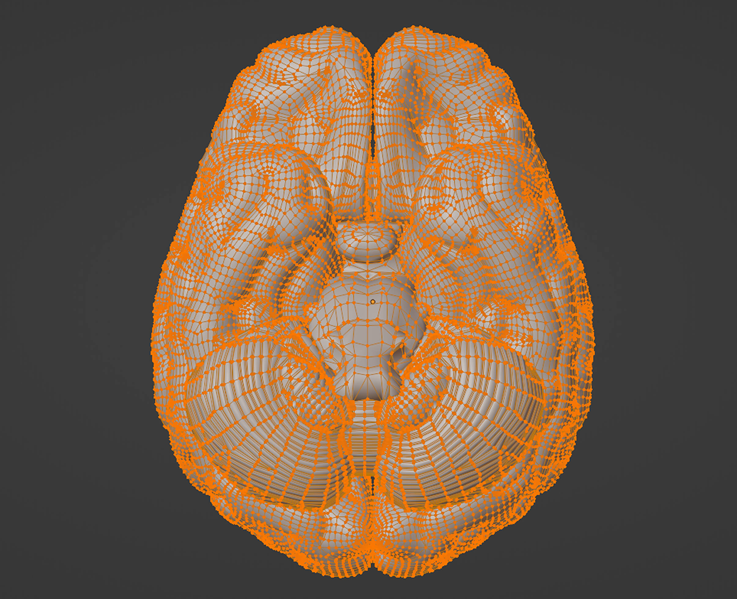 3D Model of Human Brain V2 by azekapeka