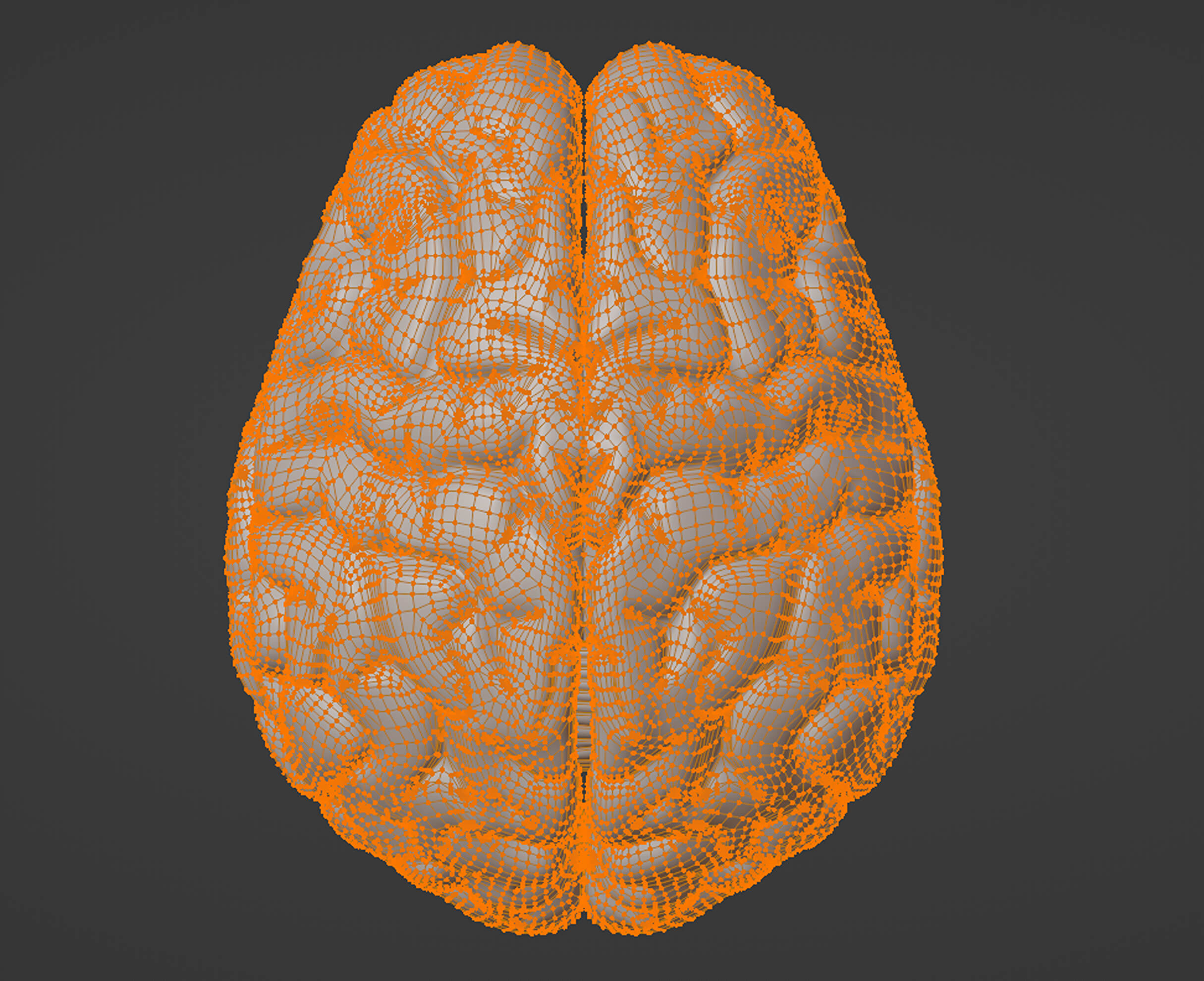 3D Model of Human Brain V2 by azekapeka