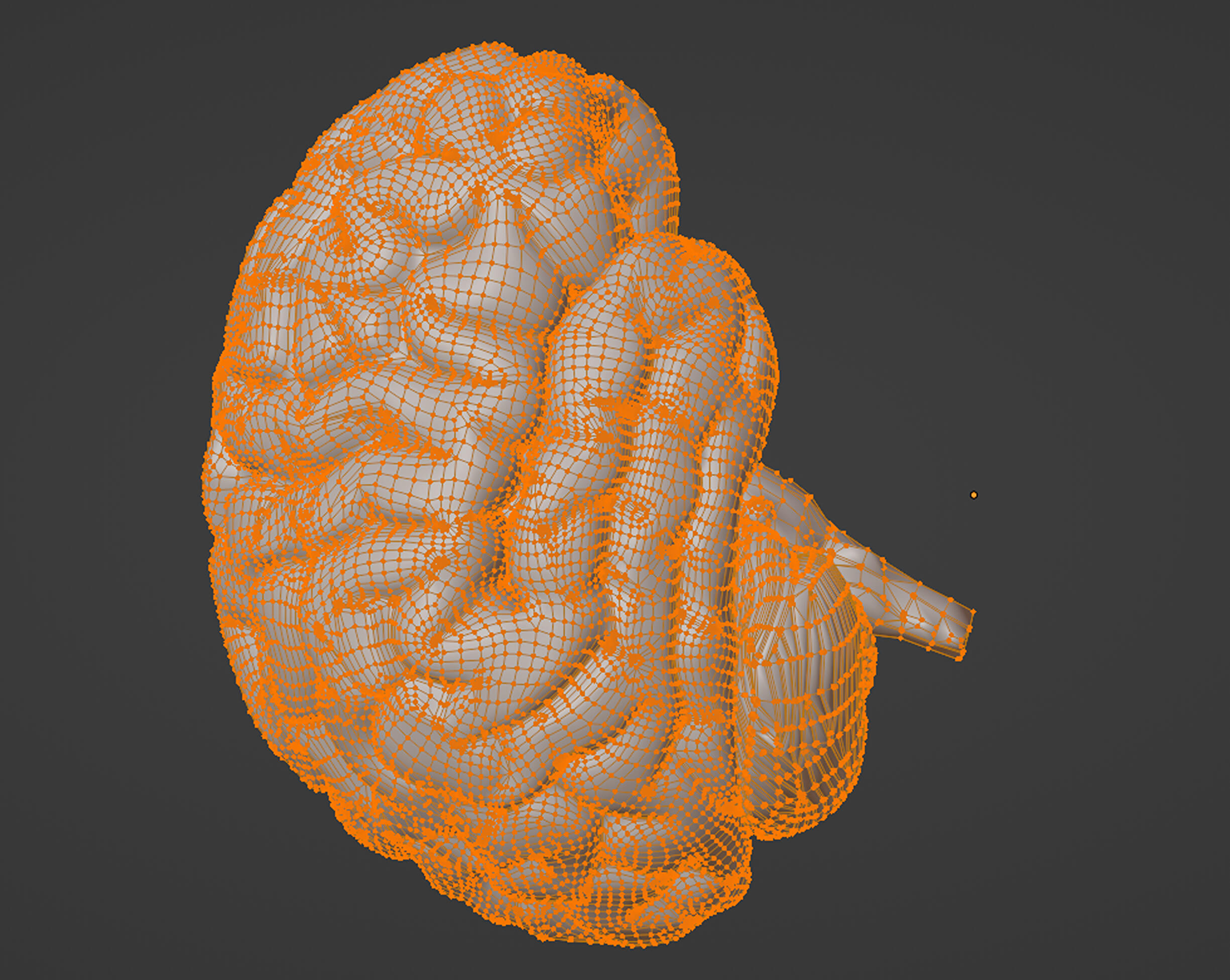 3D Model of Human Brain V2 by azekapeka