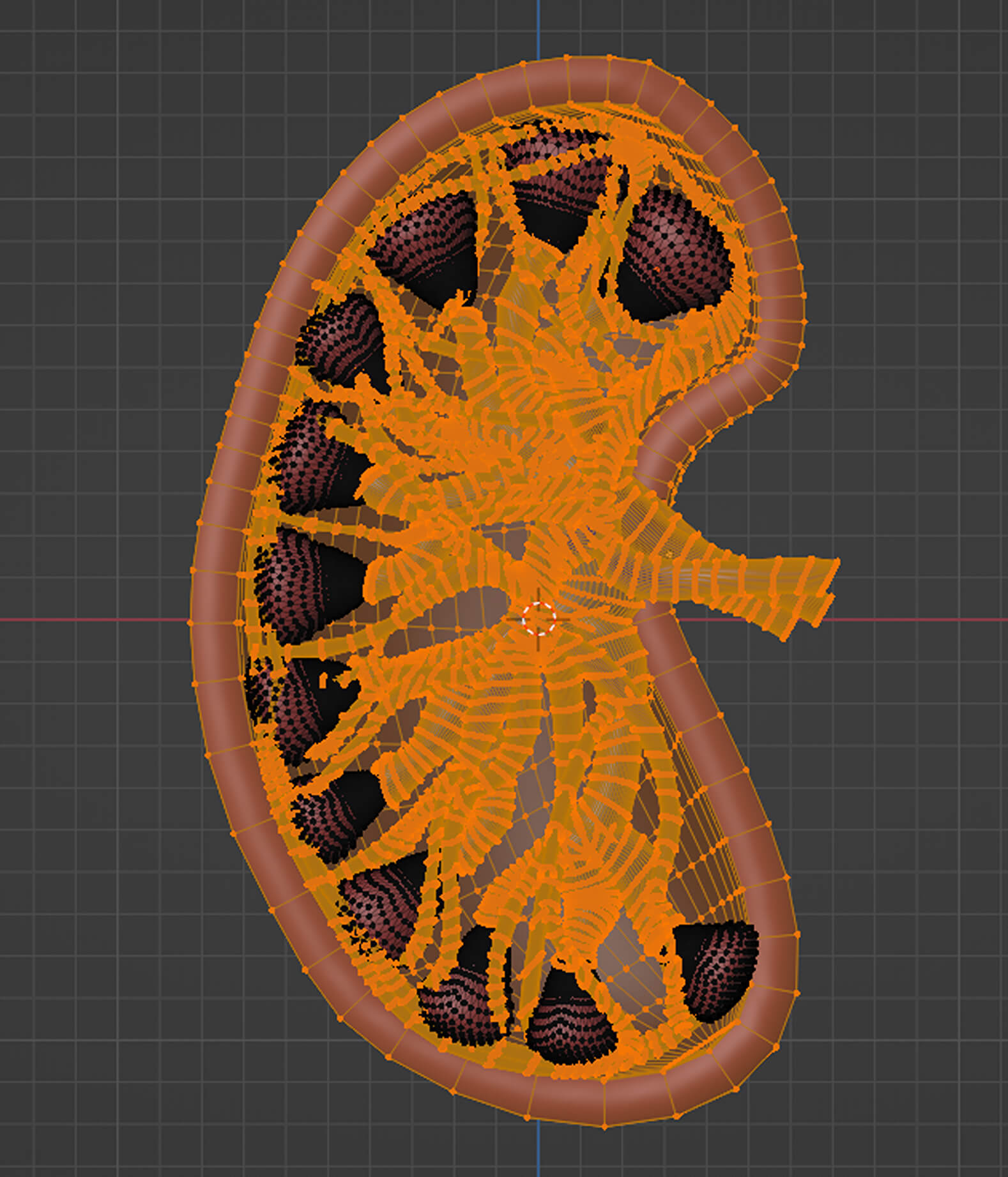 3D Model of Kidneys by azekapeka