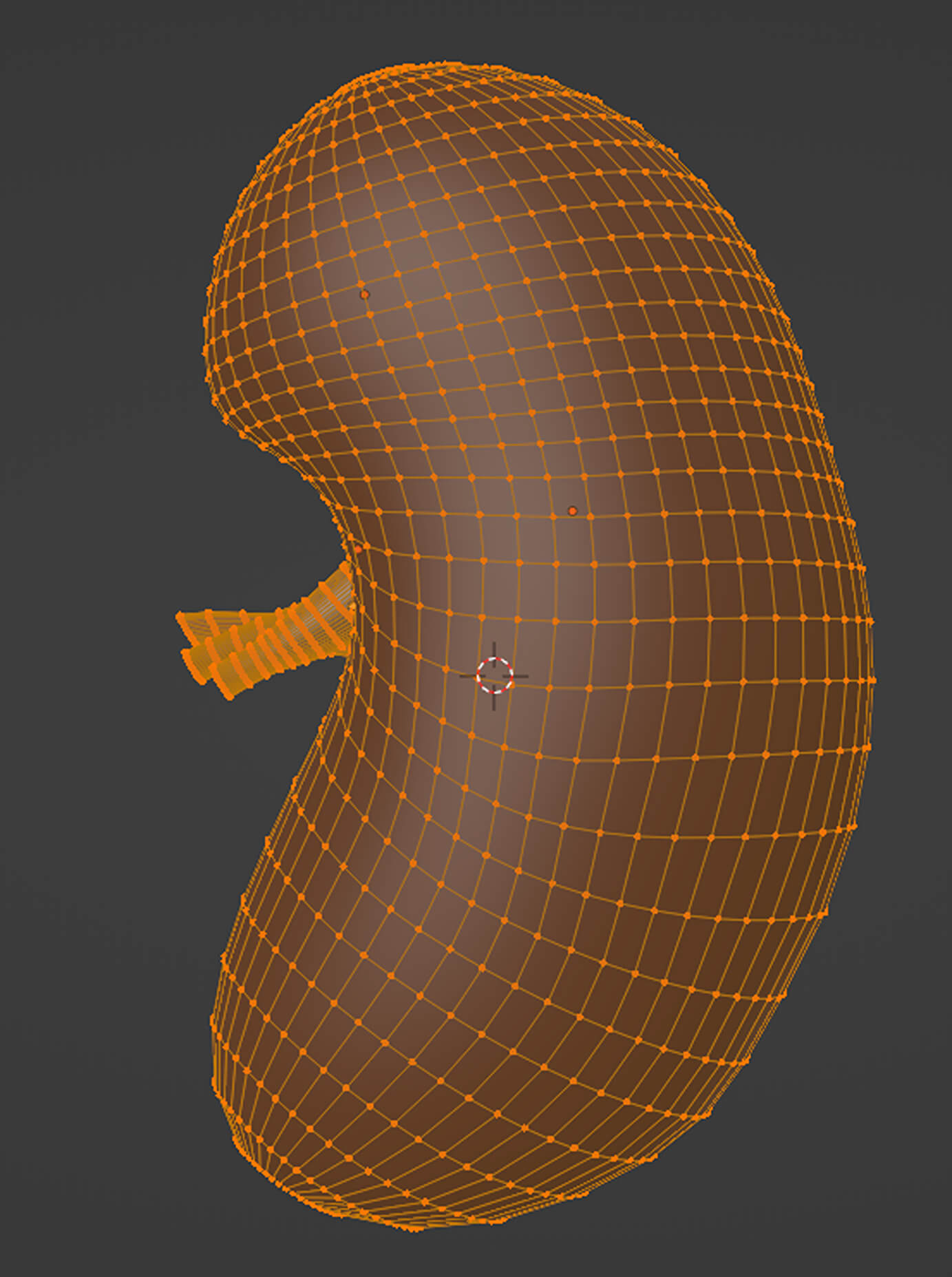 3D Model of Kidneys by azekapeka