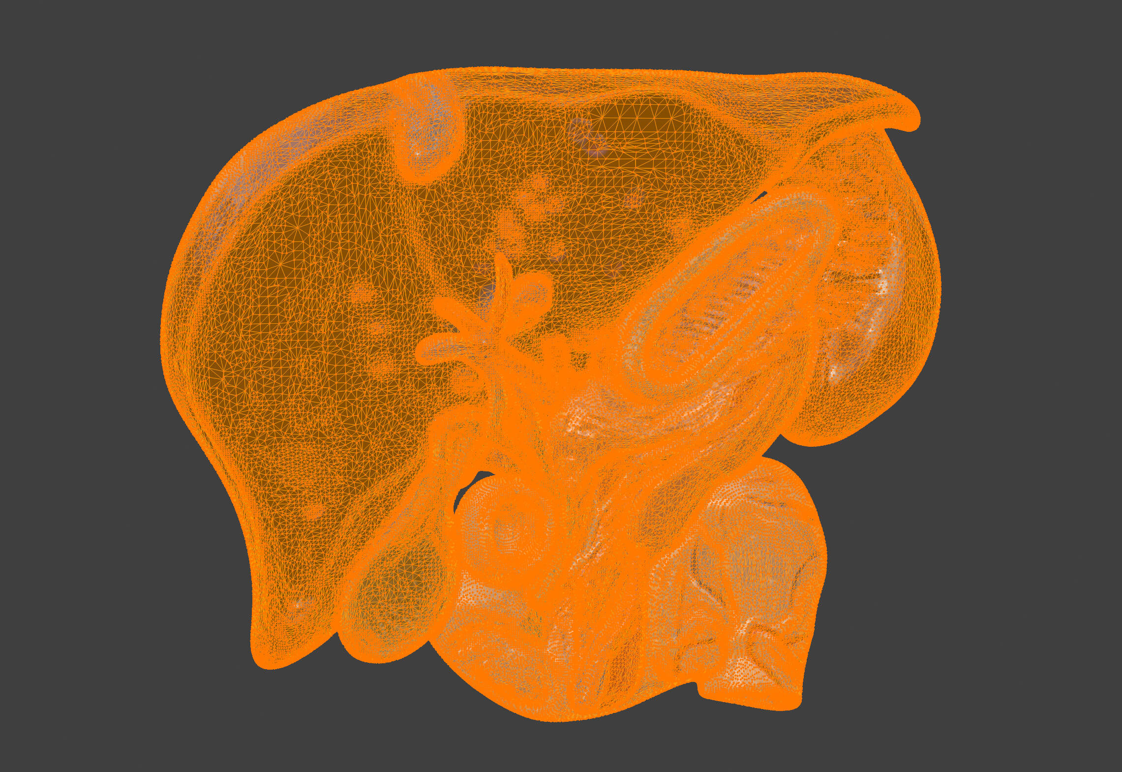 3D Model of Liver Anatomy With Gallbladder by azekapeka