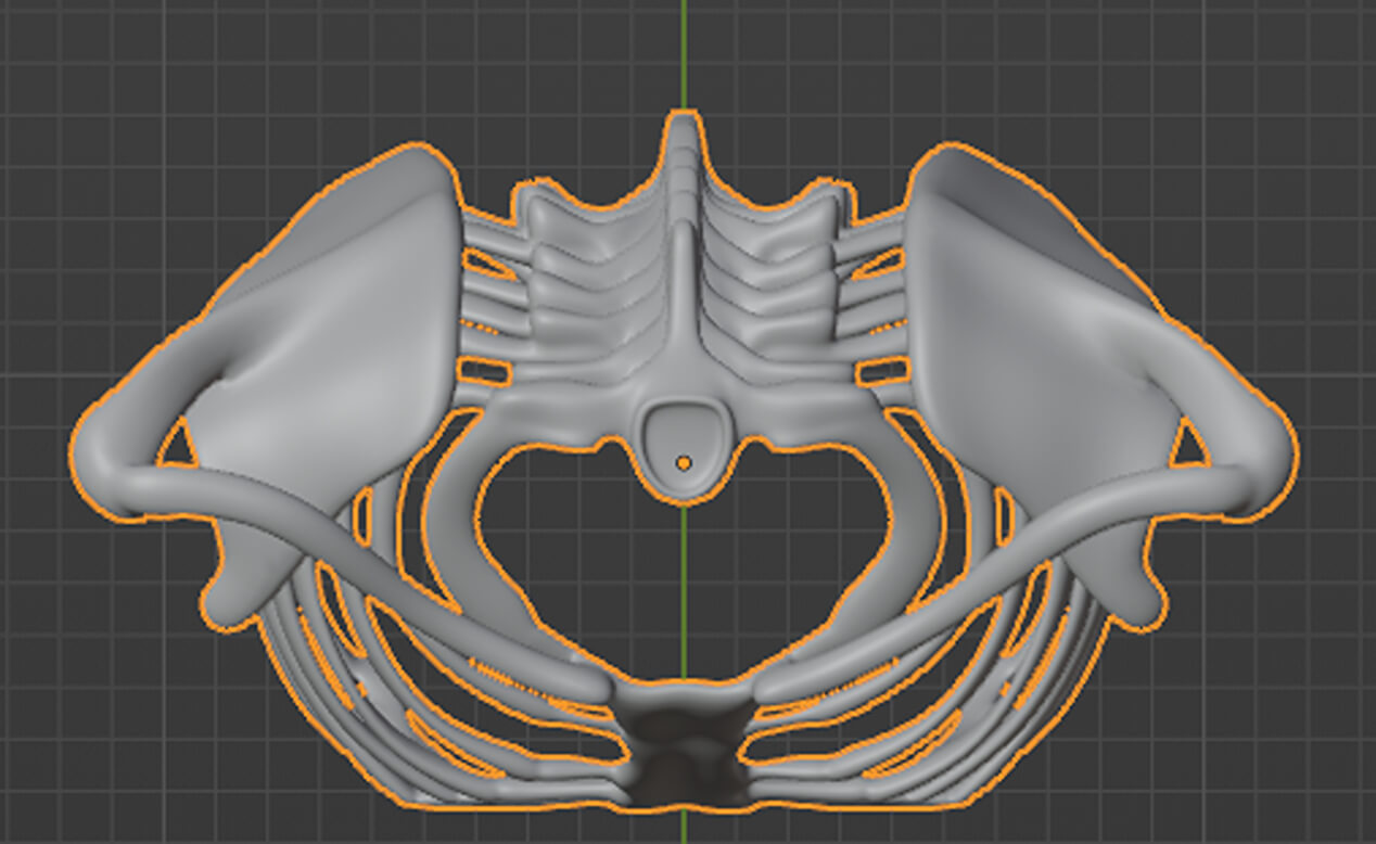 3D Model of Ribs Cage by azekapeka