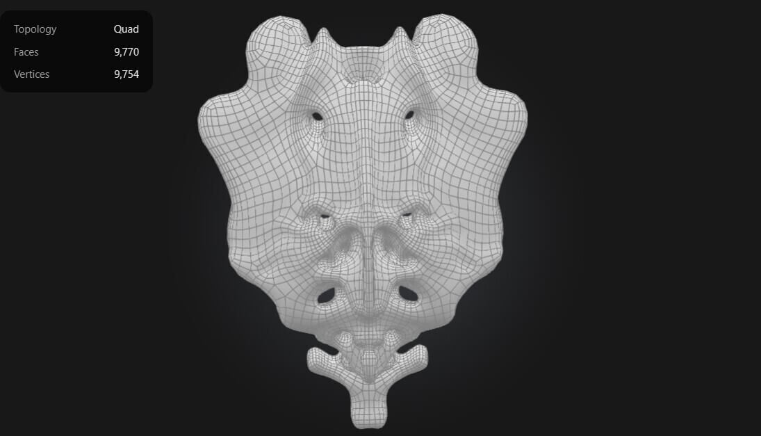 3D Model of Sacrum by azekapeka