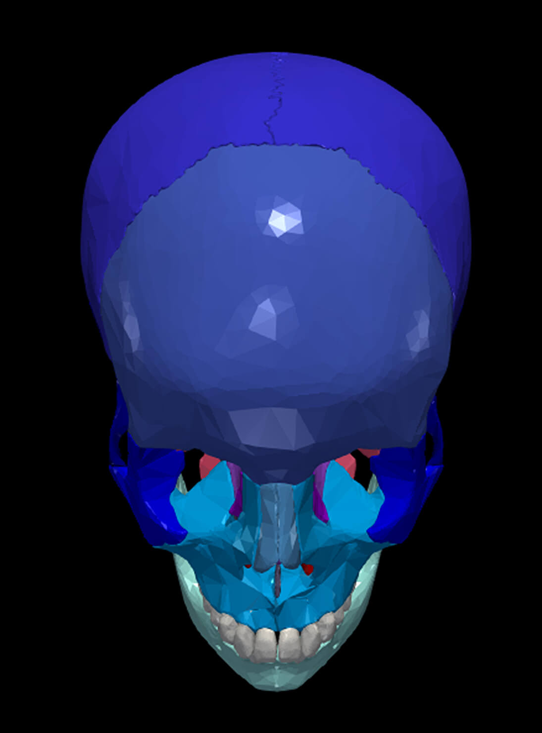 3D Model of Skull Bones by azekapeka