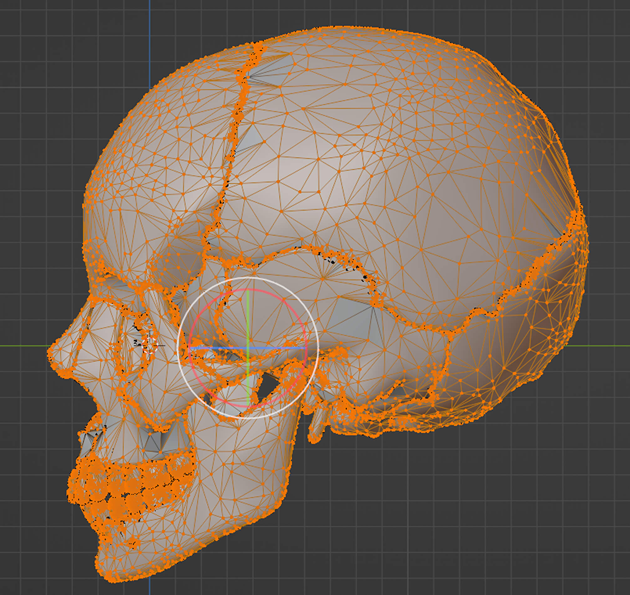 3D Model of Skull Bones by azekapeka