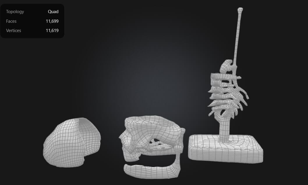 3D Model of Spinal Cord Model With Nerves by azekapeka