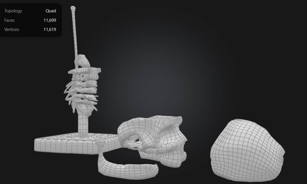 3D Model of Spinal Cord Model With Nerves by azekapeka