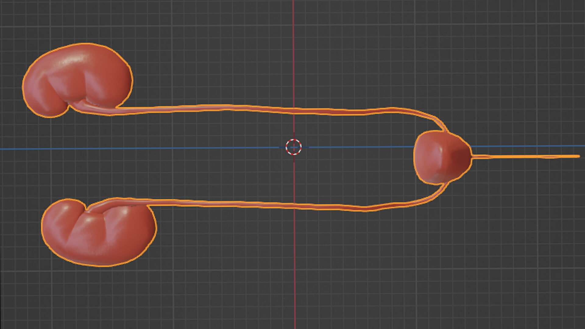 3D Model of Urinary System by azekapeka