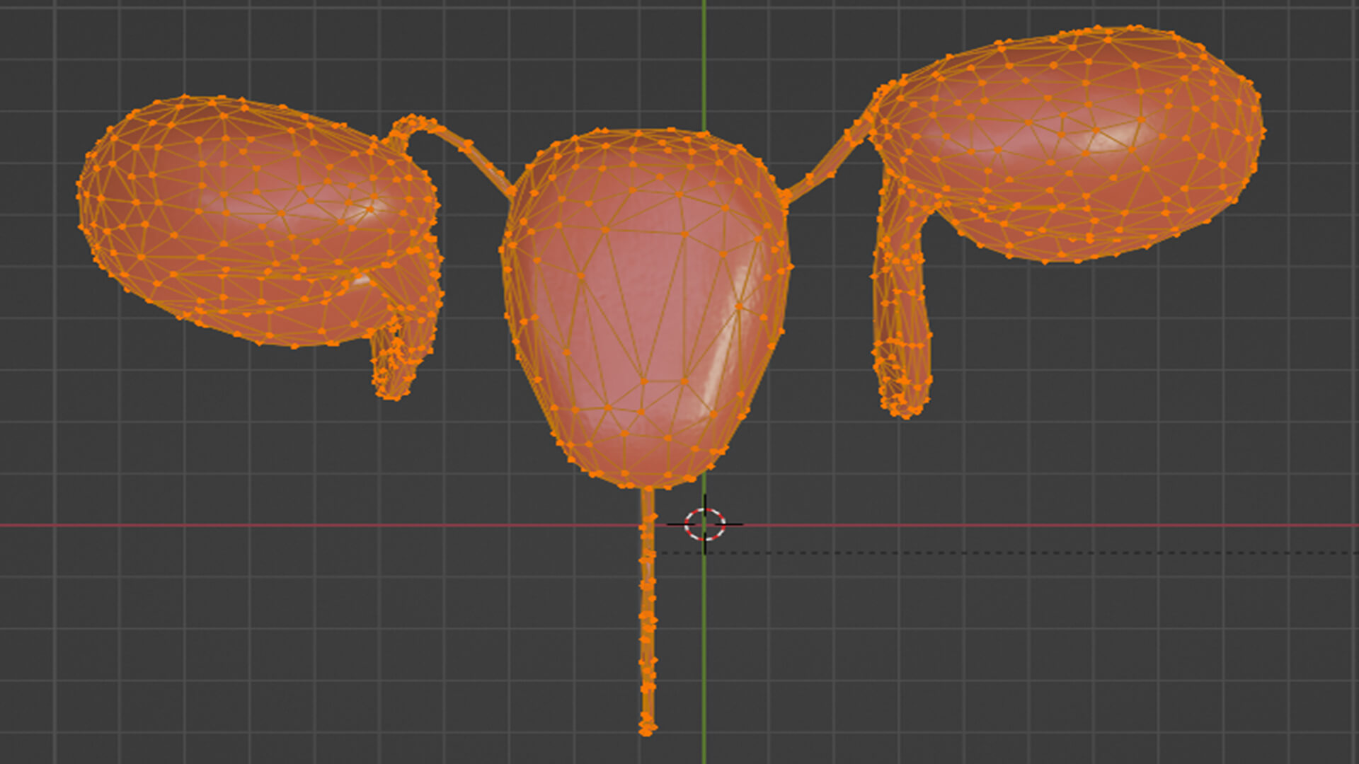 3D Model of Urinary System by azekapeka