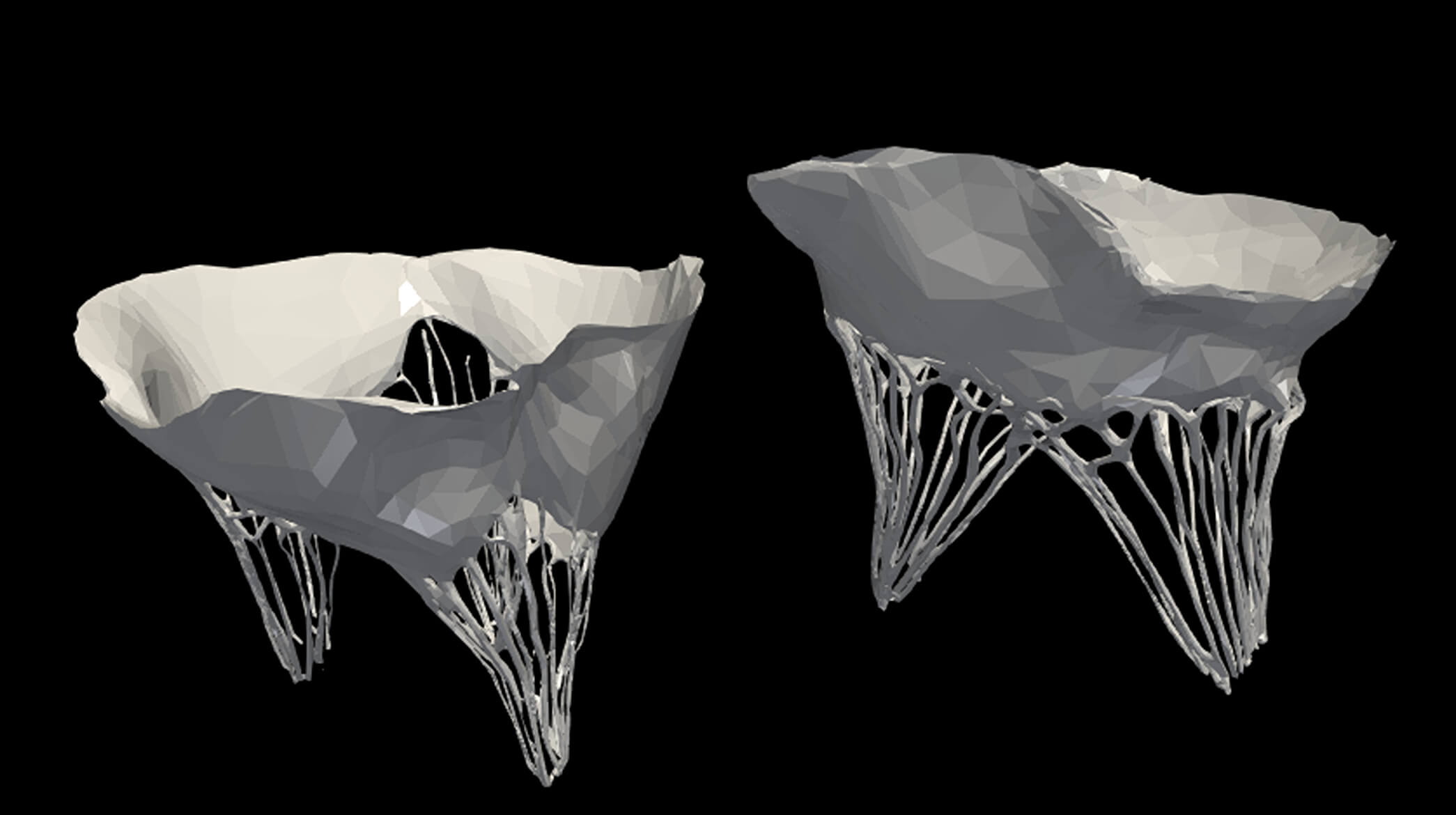 3D Model of Valves by azekapeka