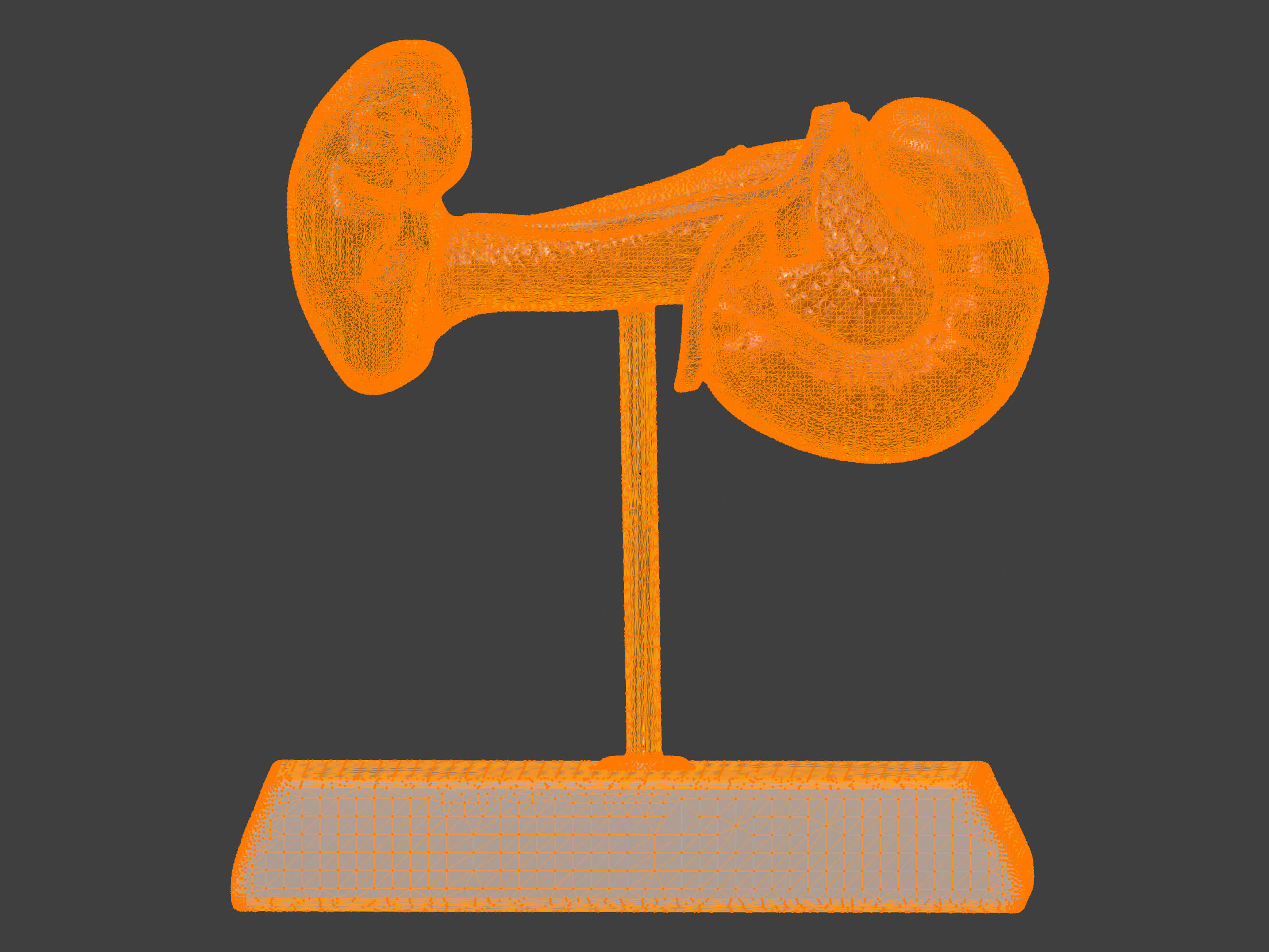 3D Spleen, Pancreas and Duodenum Anatomy Model by azekapeka