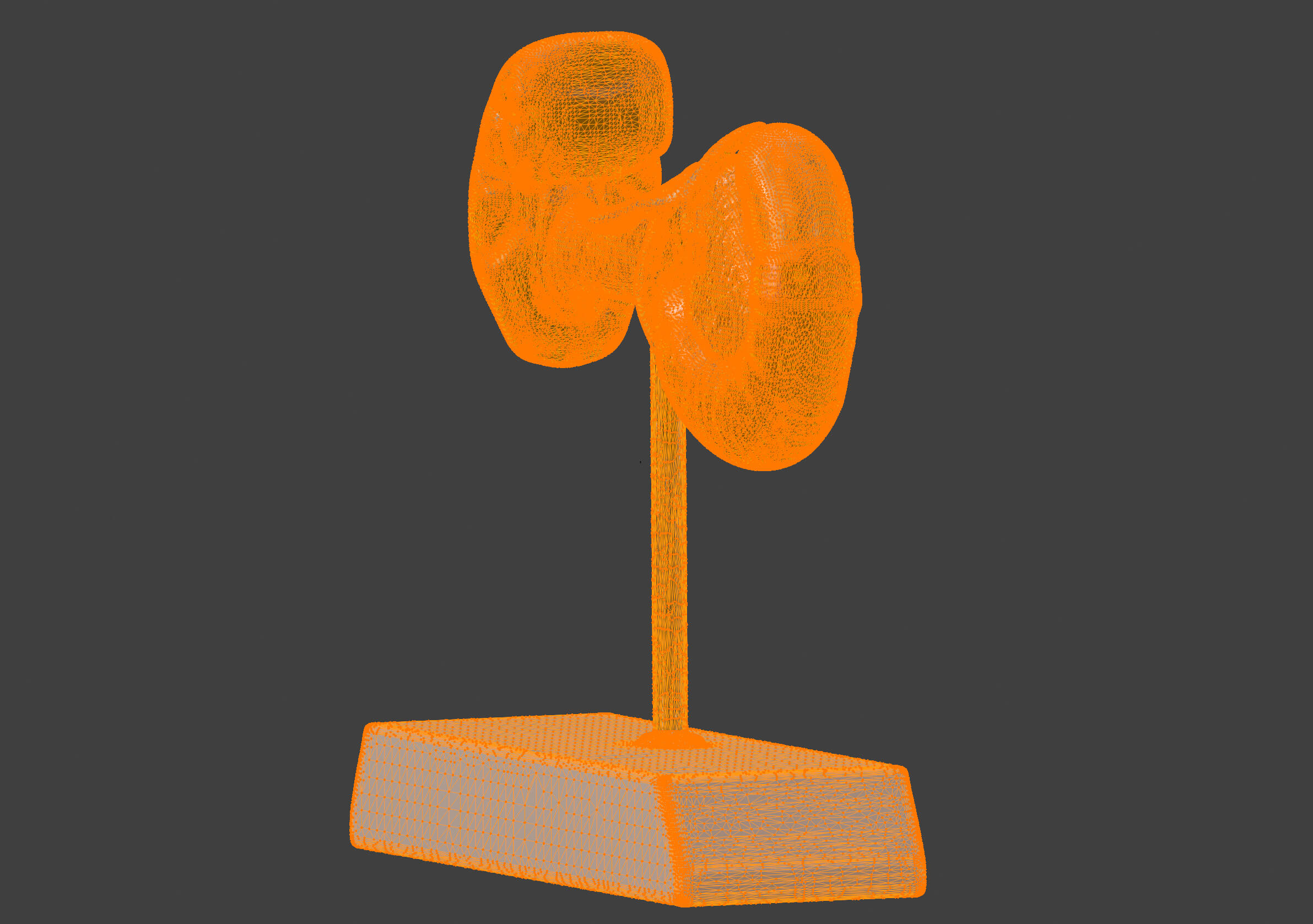 3D Spleen, Pancreas and Duodenum Anatomy Model by azekapeka