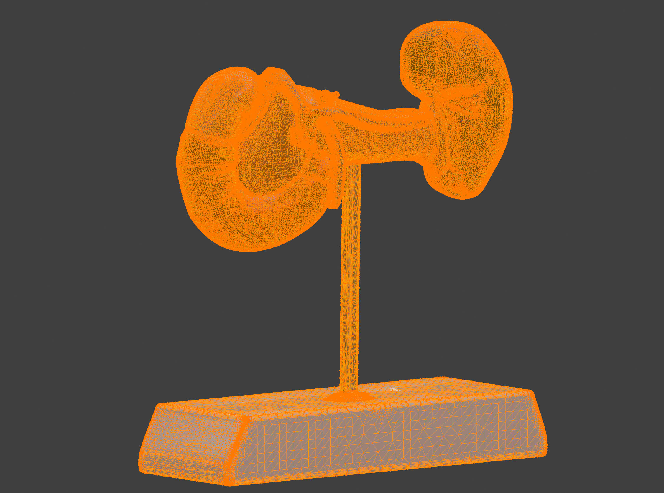 3D Spleen, Pancreas and Duodenum Anatomy Model by azekapeka