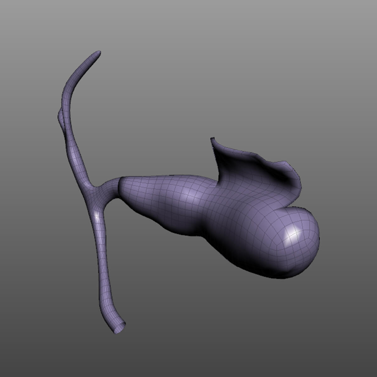 Gallbladder Anatomy - 3D Model by AzulUtak