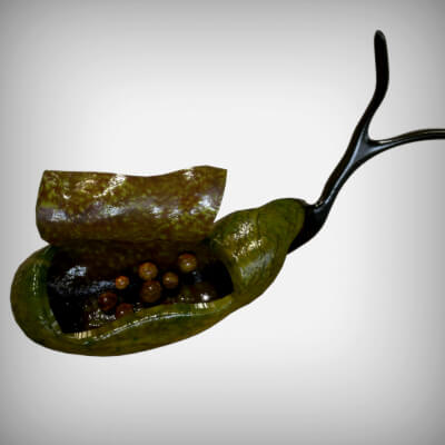 Gallbladder Anatomy - 3D Model by AzulUtak