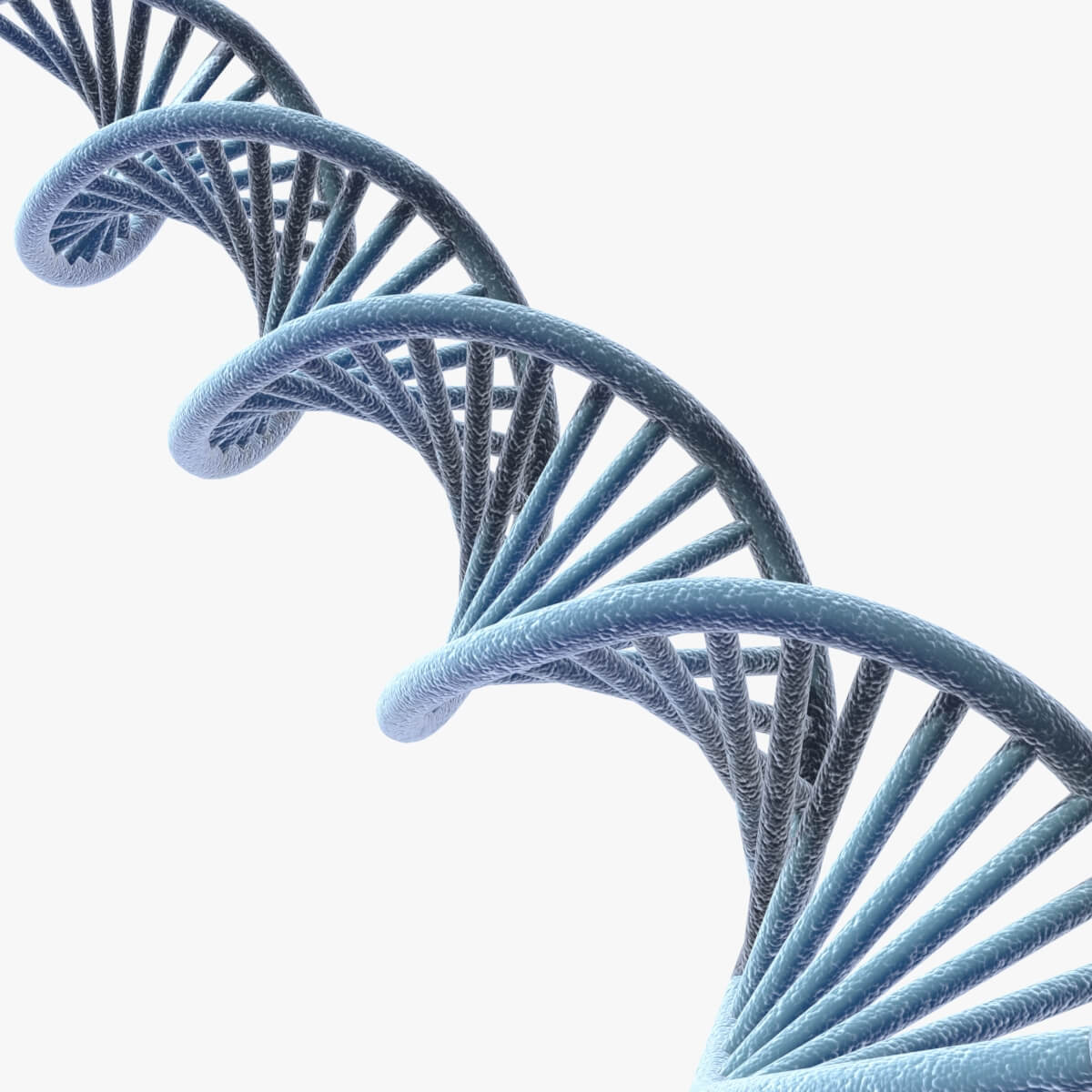 Human DNA Strands - 3D Model by AzulUtak