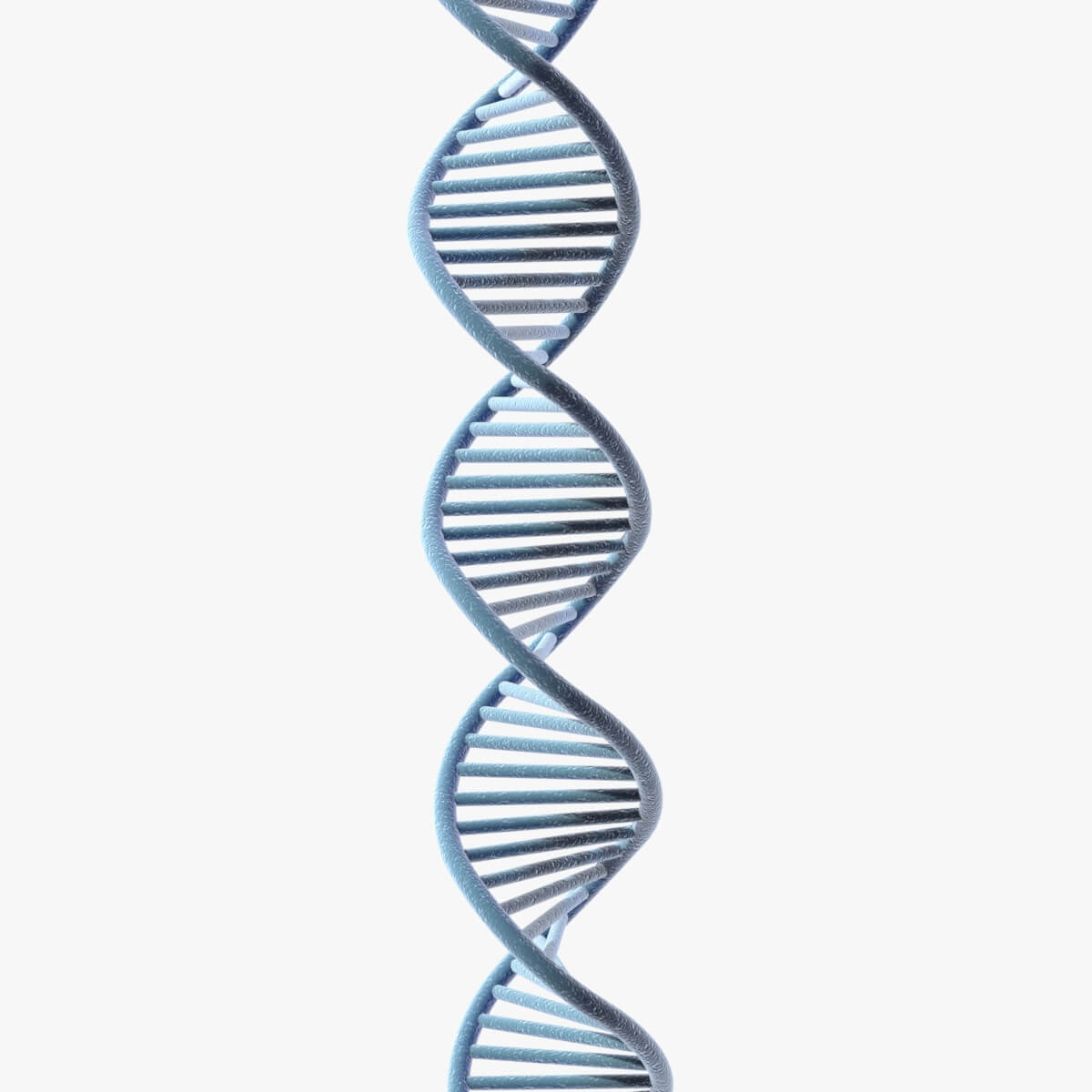 Human DNA Strands - 3D Model by AzulUtak