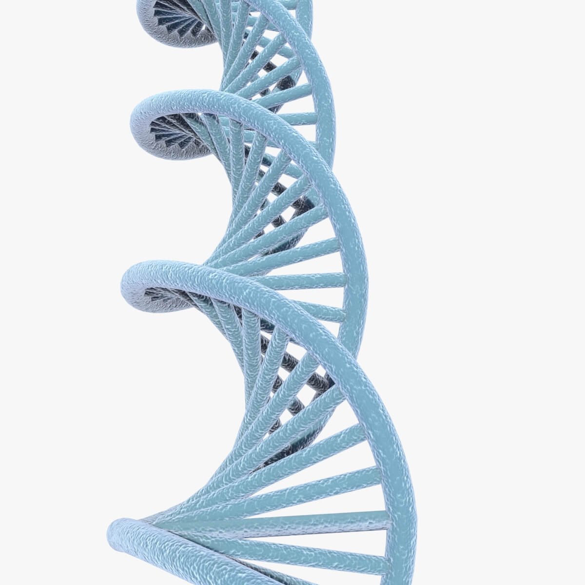 Human DNA Strands - 3D Model by AzulUtak
