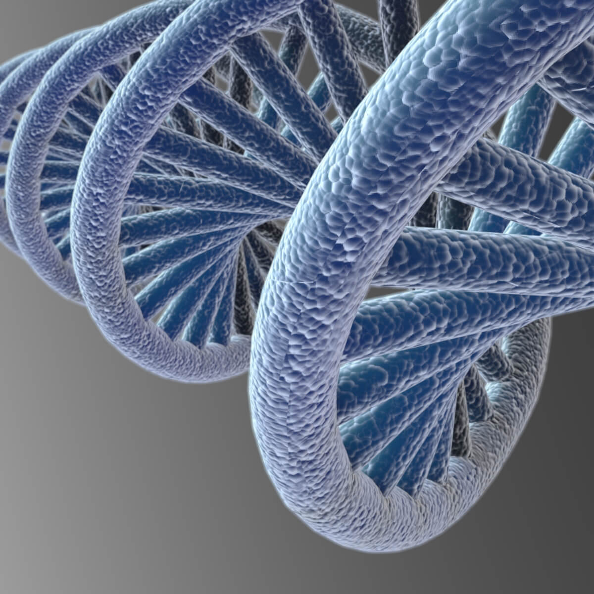 Human DNA Strands - 3D Model by AzulUtak