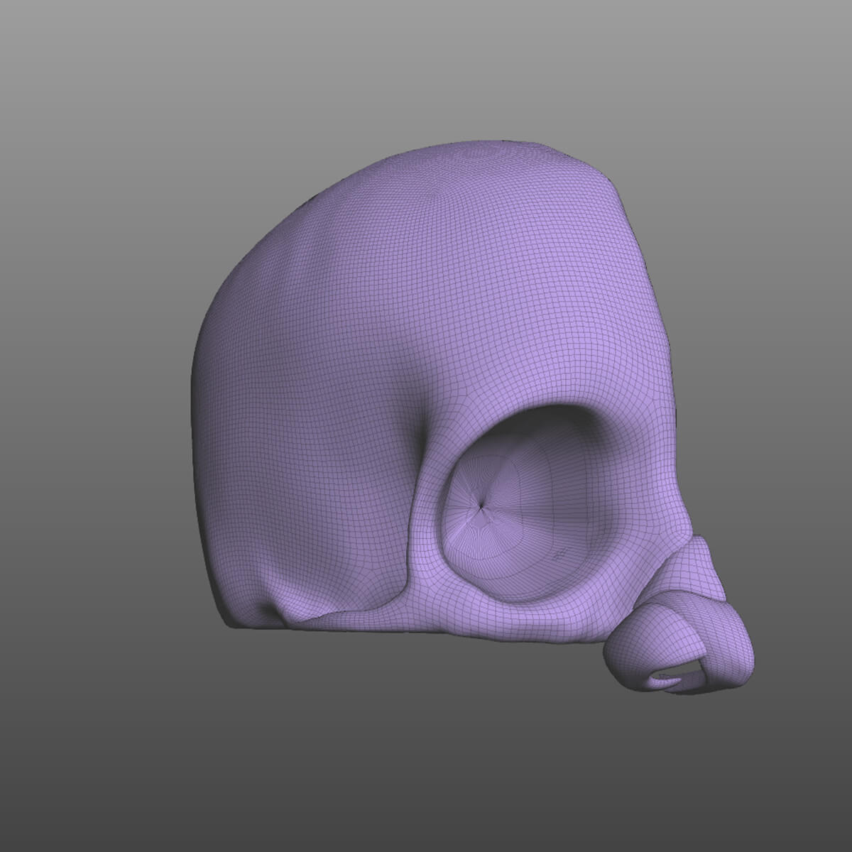 Human Nose Anatomy - 3D Model by AzulUtak