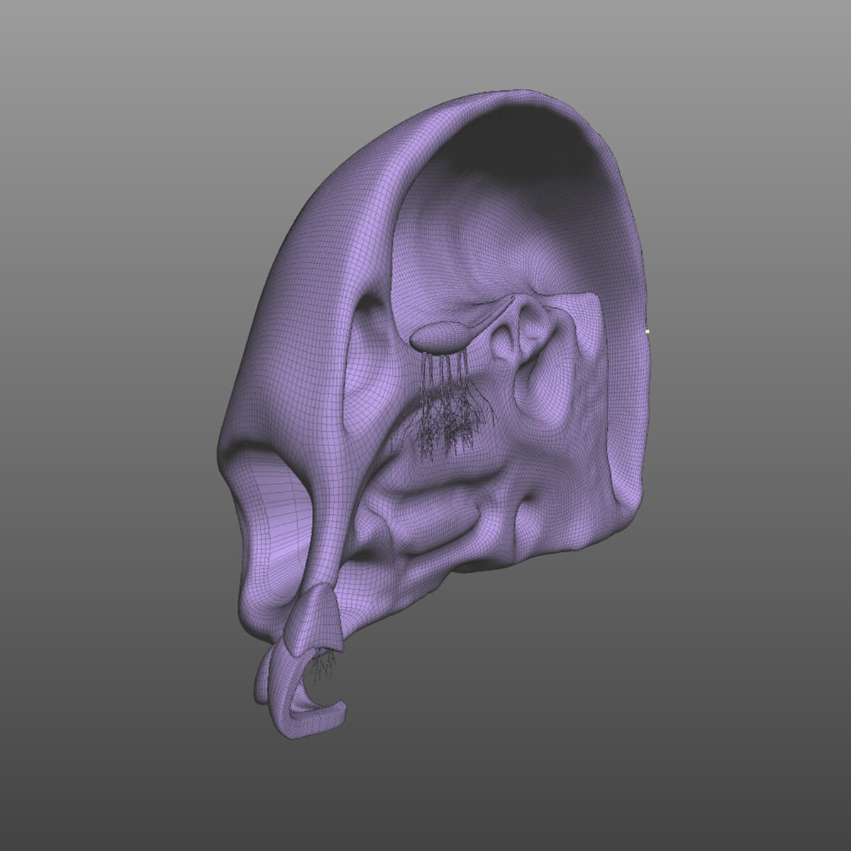 Human Nose Anatomy - 3D Model by AzulUtak