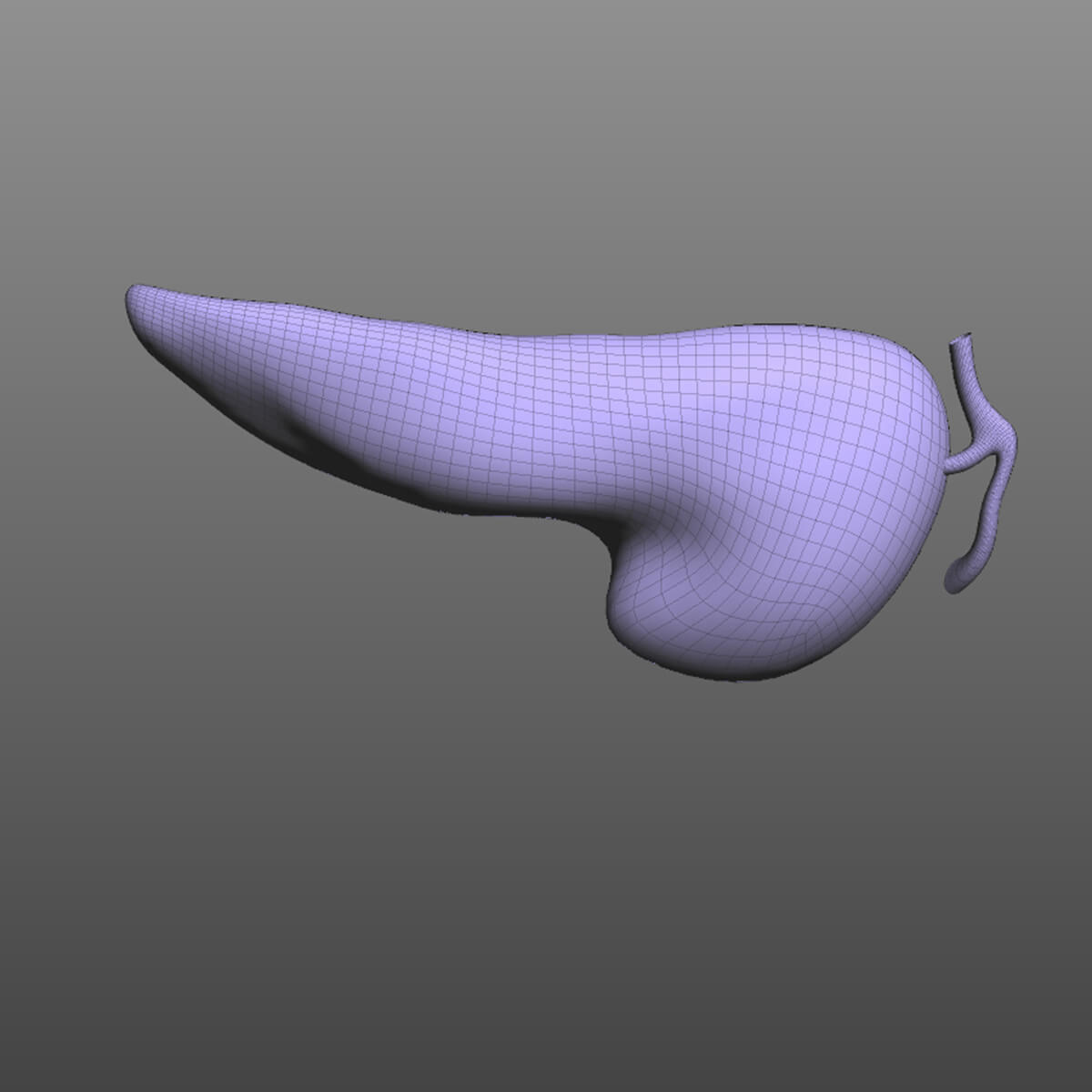 Human Pancreas - 3D Model by AzulUtak