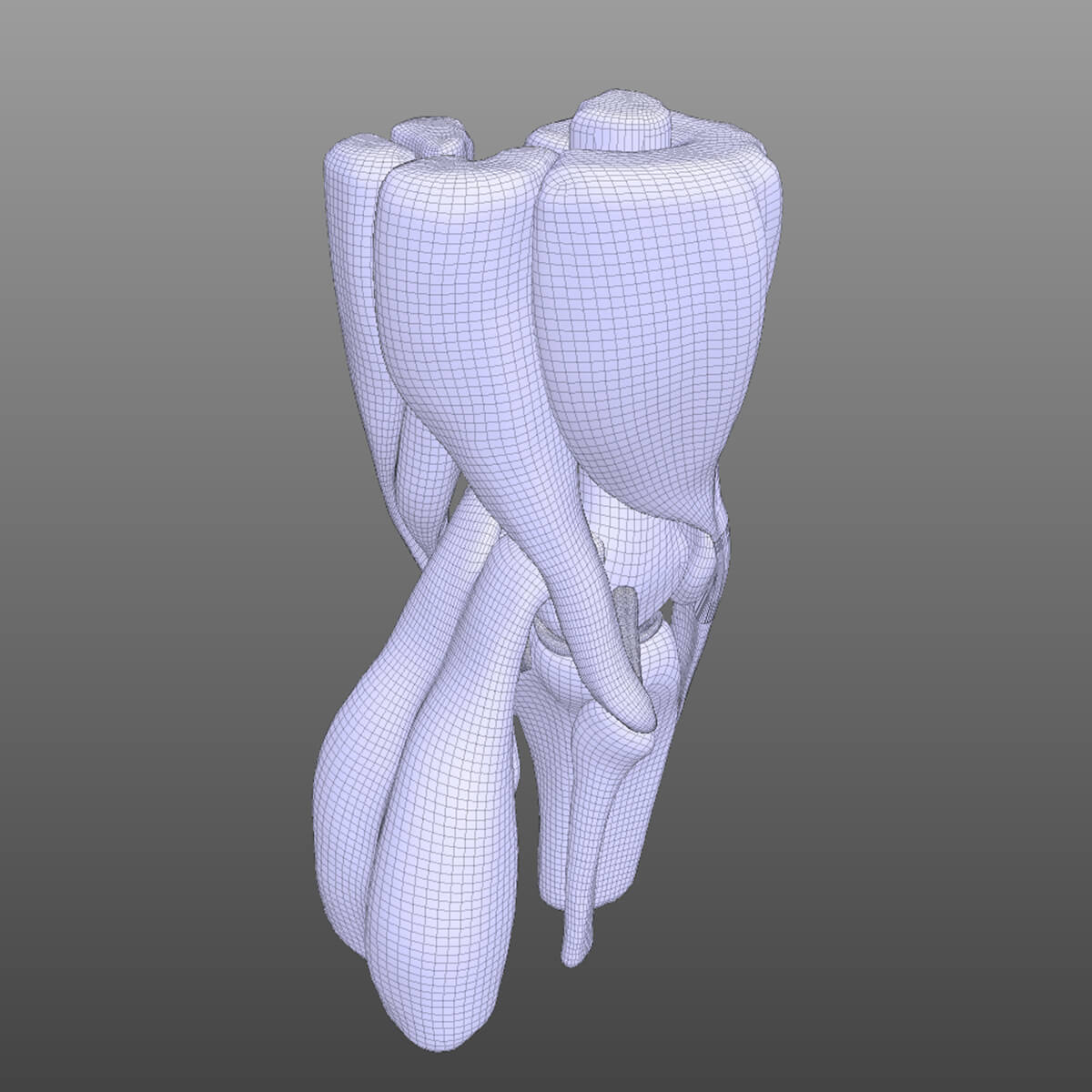 Knee Anatomy - 3D Model by AzulUtak